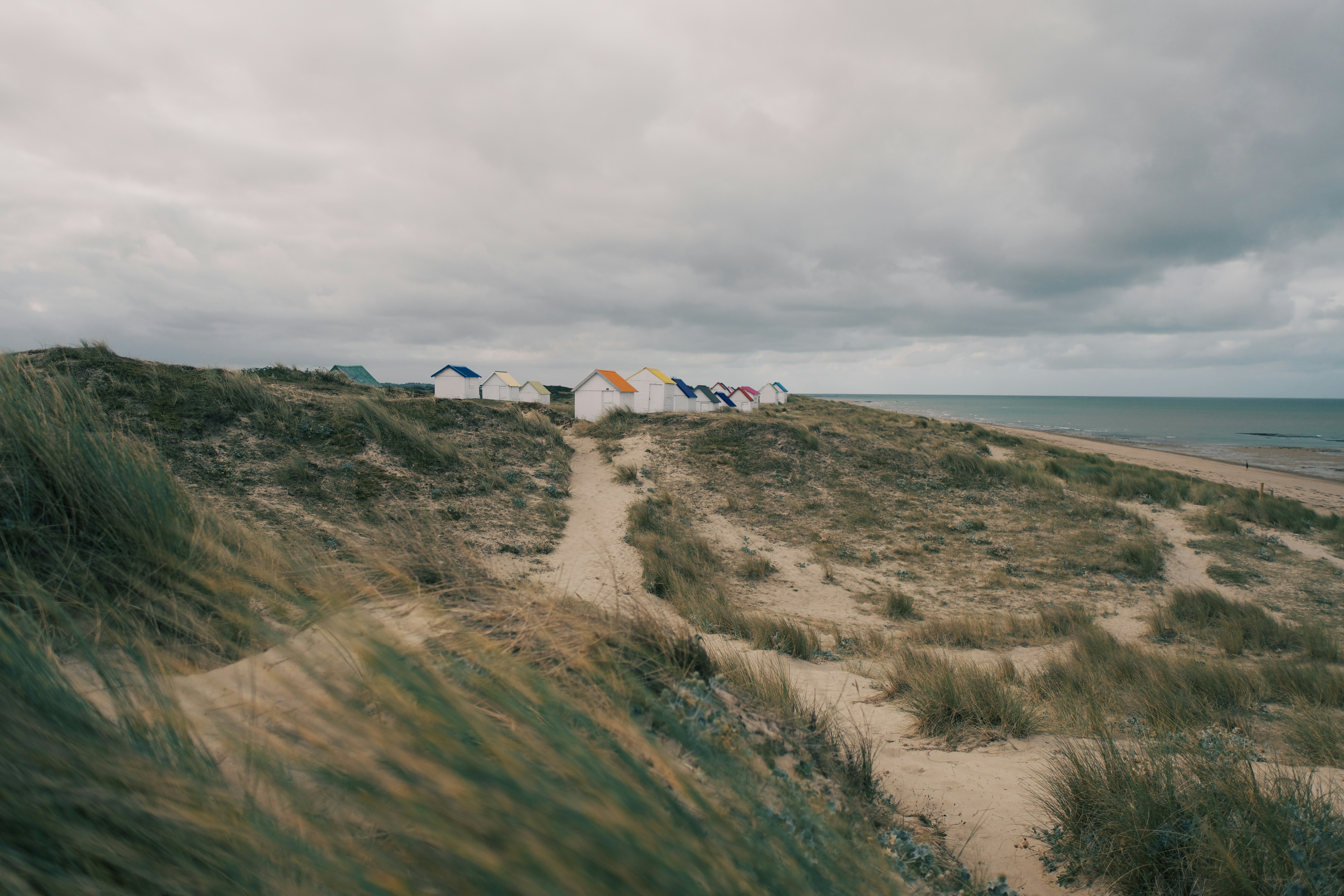 A row of colorful beach huts nestled on a sandy dune, framed by swaying grasses and a serene ocean backdrop. The scene captures the tranquil essence of coastal living.