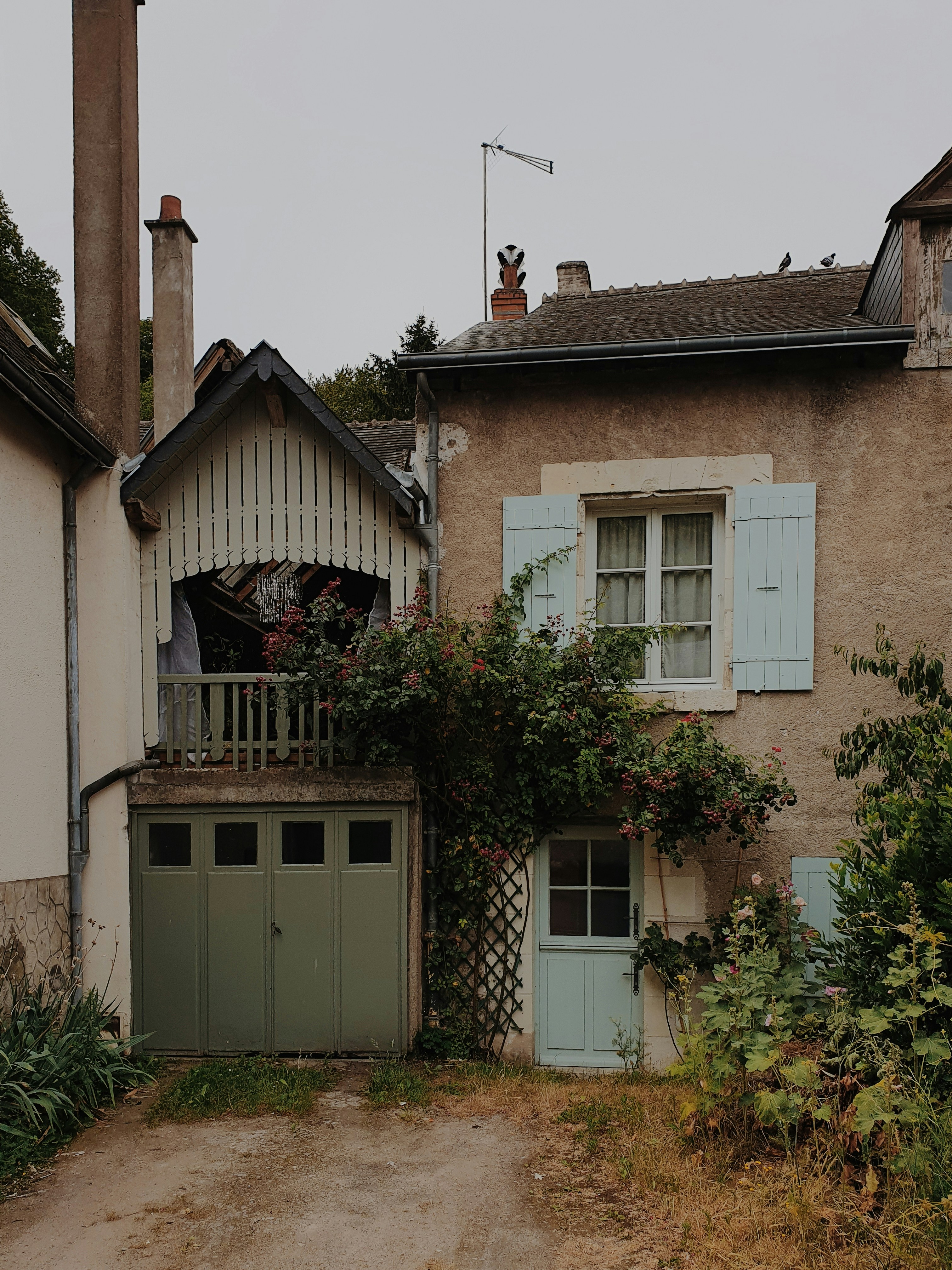 Ivy-Clad Courtyard: Pastel Doors and a Quiet European Facade