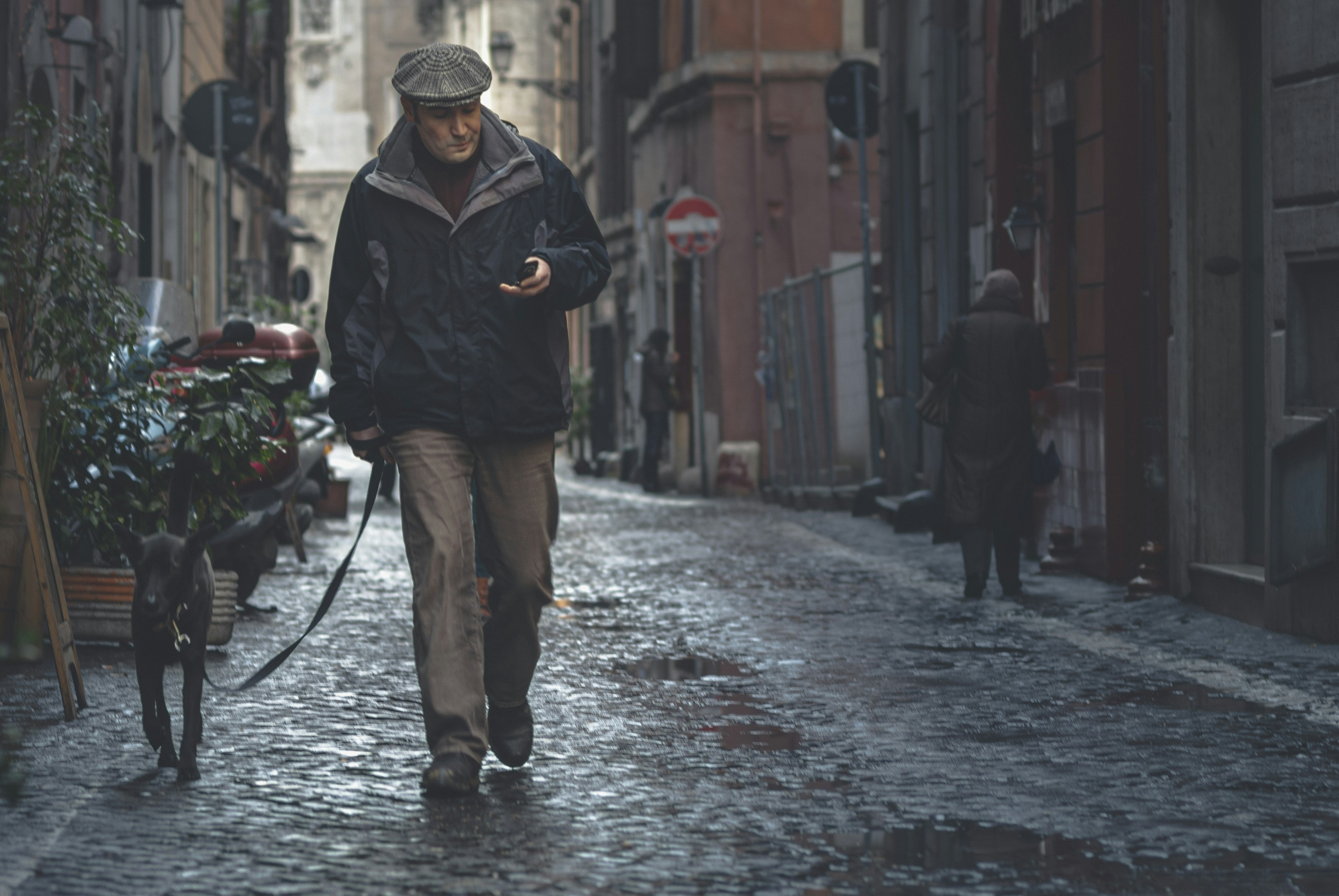 Cobblestone Alley After Rain: A Lone Walker and His Dog