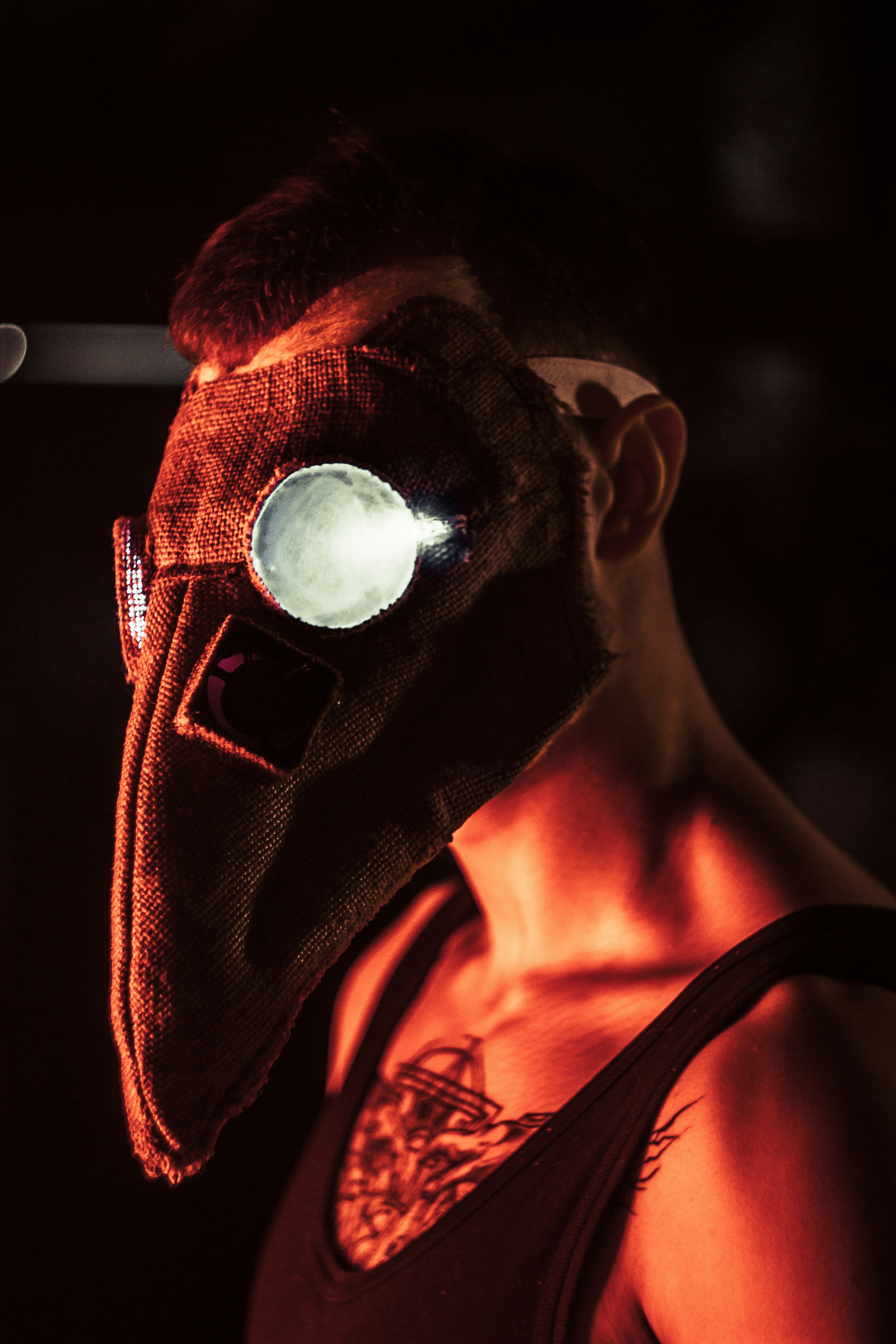 Plague Pictures | Download Free Images on Unsplash