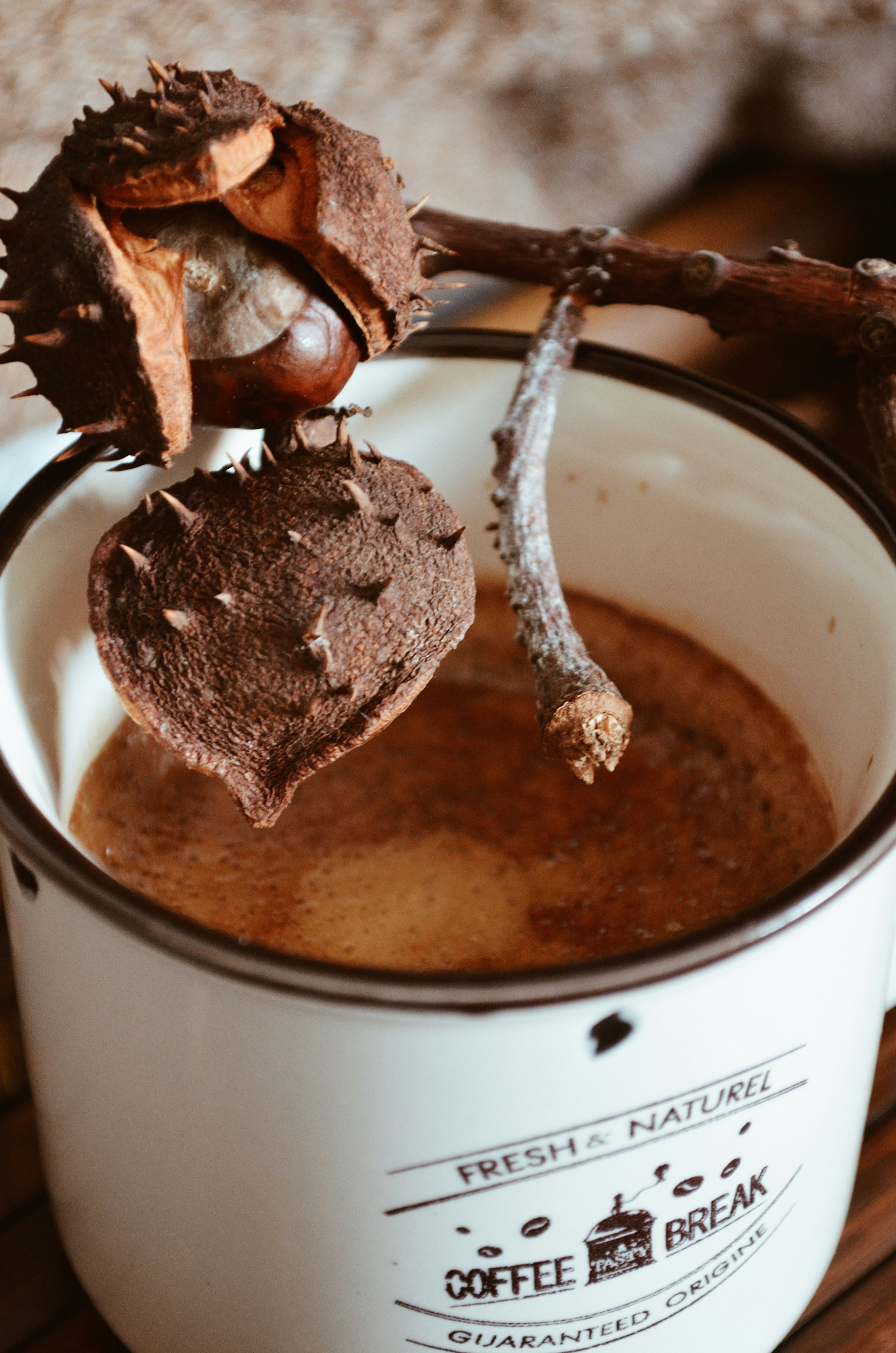 A rustic cup of coffee sits on a wooden surface, adorned with a spiky chestnut husk and a twig, evoking a cozy, natural atmosphere.