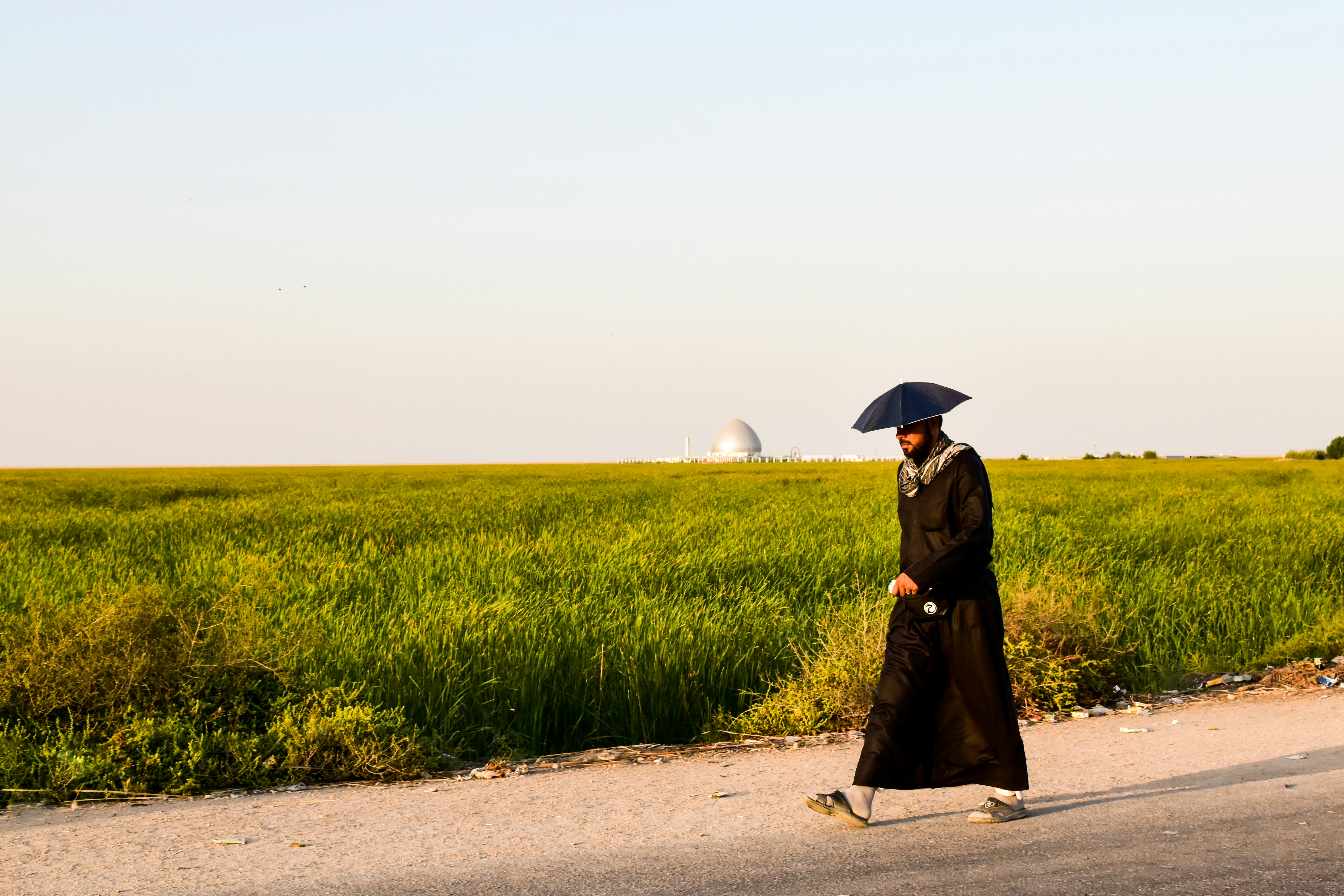 Woman in black dress holding umbrella walking on pathway between green ...