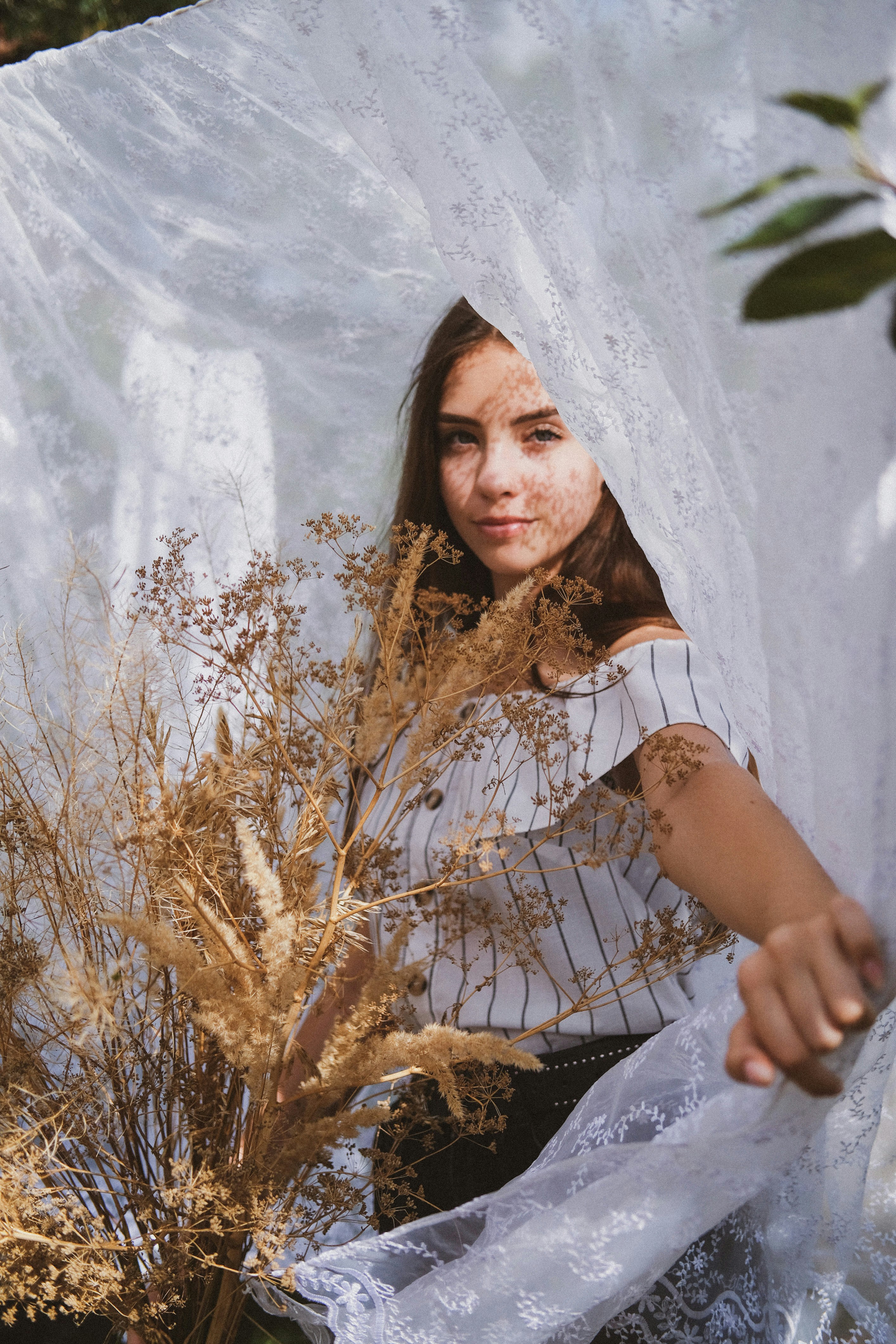 Veiled Portrait: Gossamer Drapes and Golden Grasses