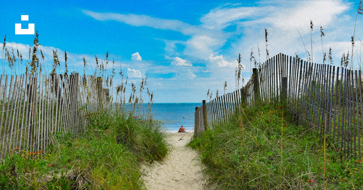 Green Grass Near Body Of Water During Daytime Photo Free Blue Image