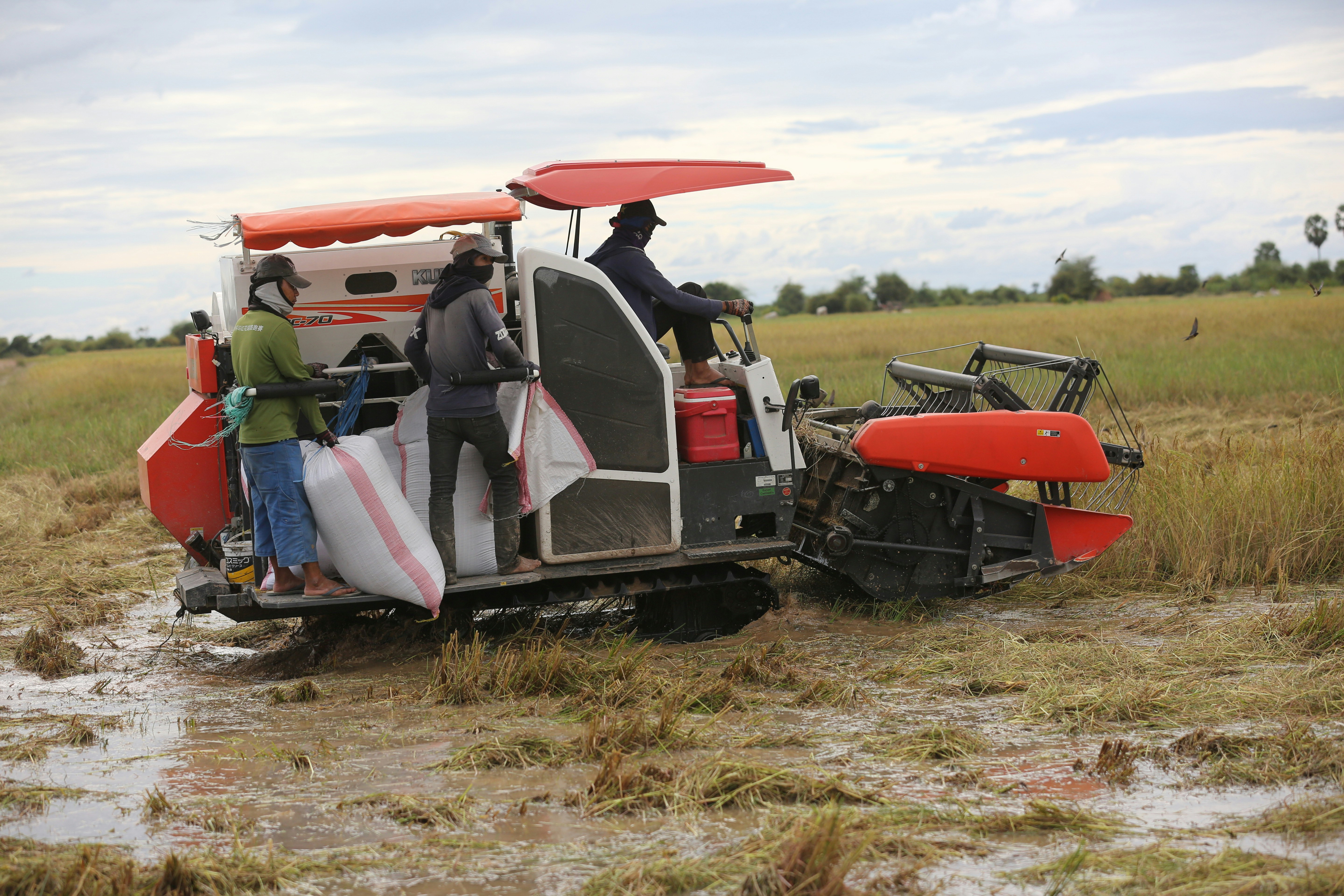Mud-Streaked Harvest: a Red Machine and Its Crew