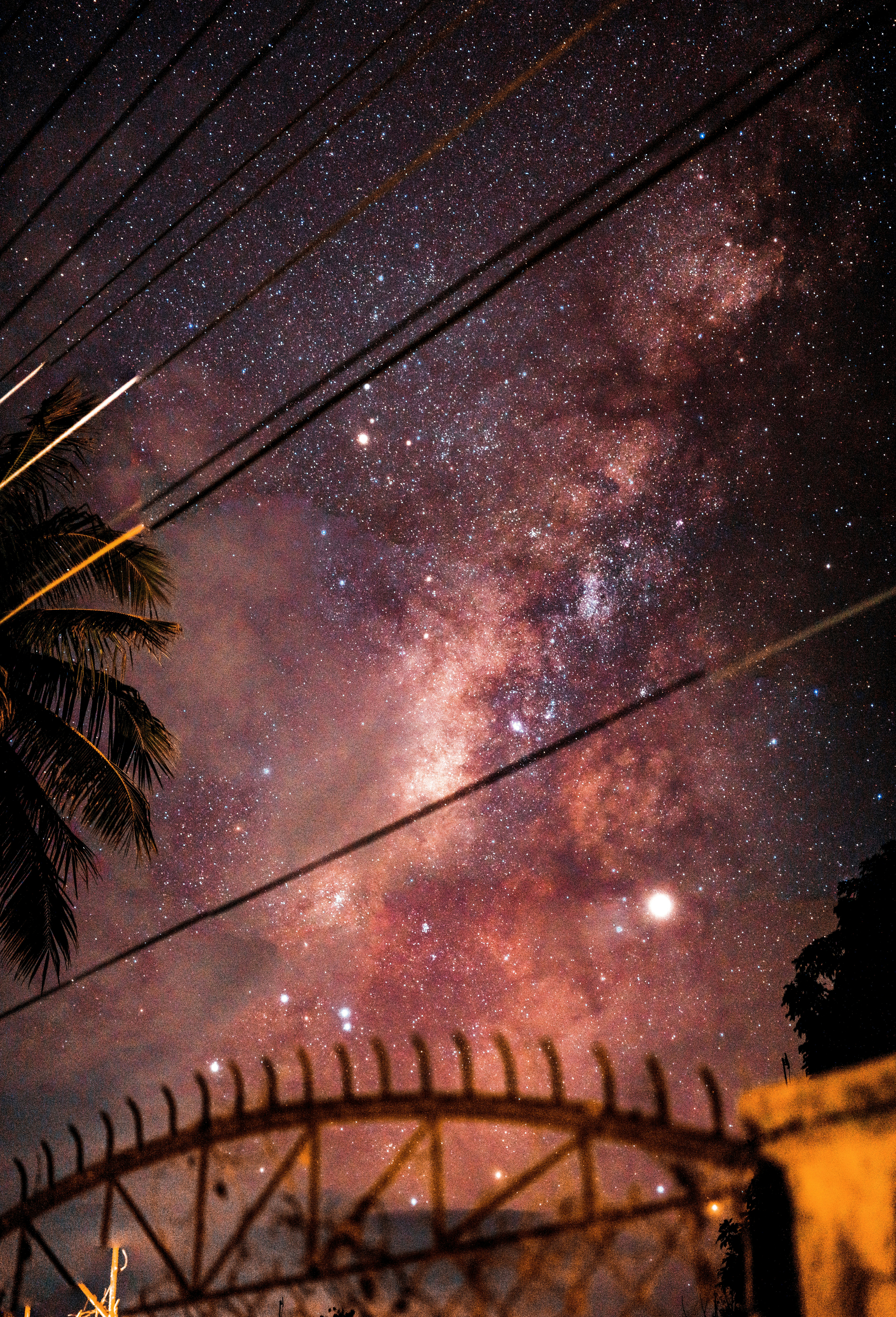 Vibrant view of the Milky Way galaxy framed by silhouettes of palm trees and power lines. The cosmic scene reveals a tapestry of stars and nebulae.