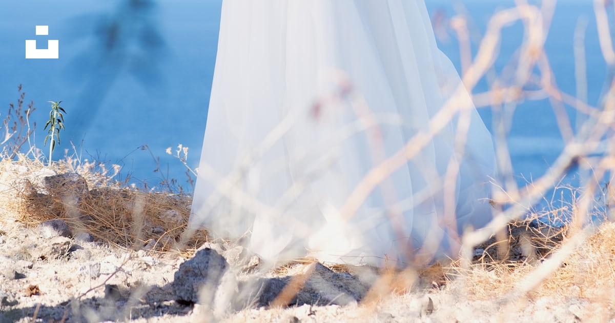 昼間、茶色の草原に立つ白いウェディングドレスを着た女性の写真 Unsplashの結婚式の無料画像
