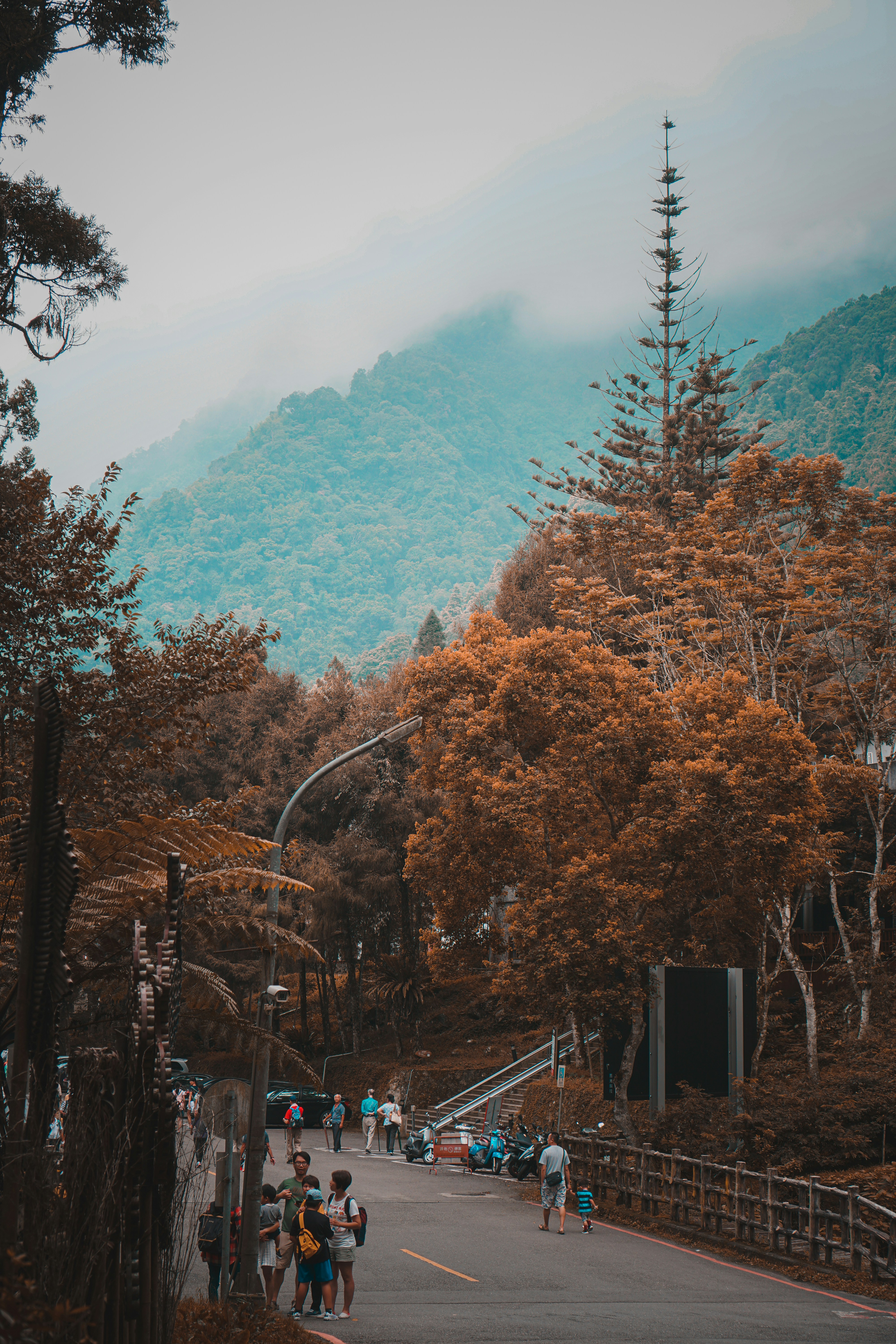 Hikers on a Mountain Road Between Ember Trees and Misty Teal Peaks