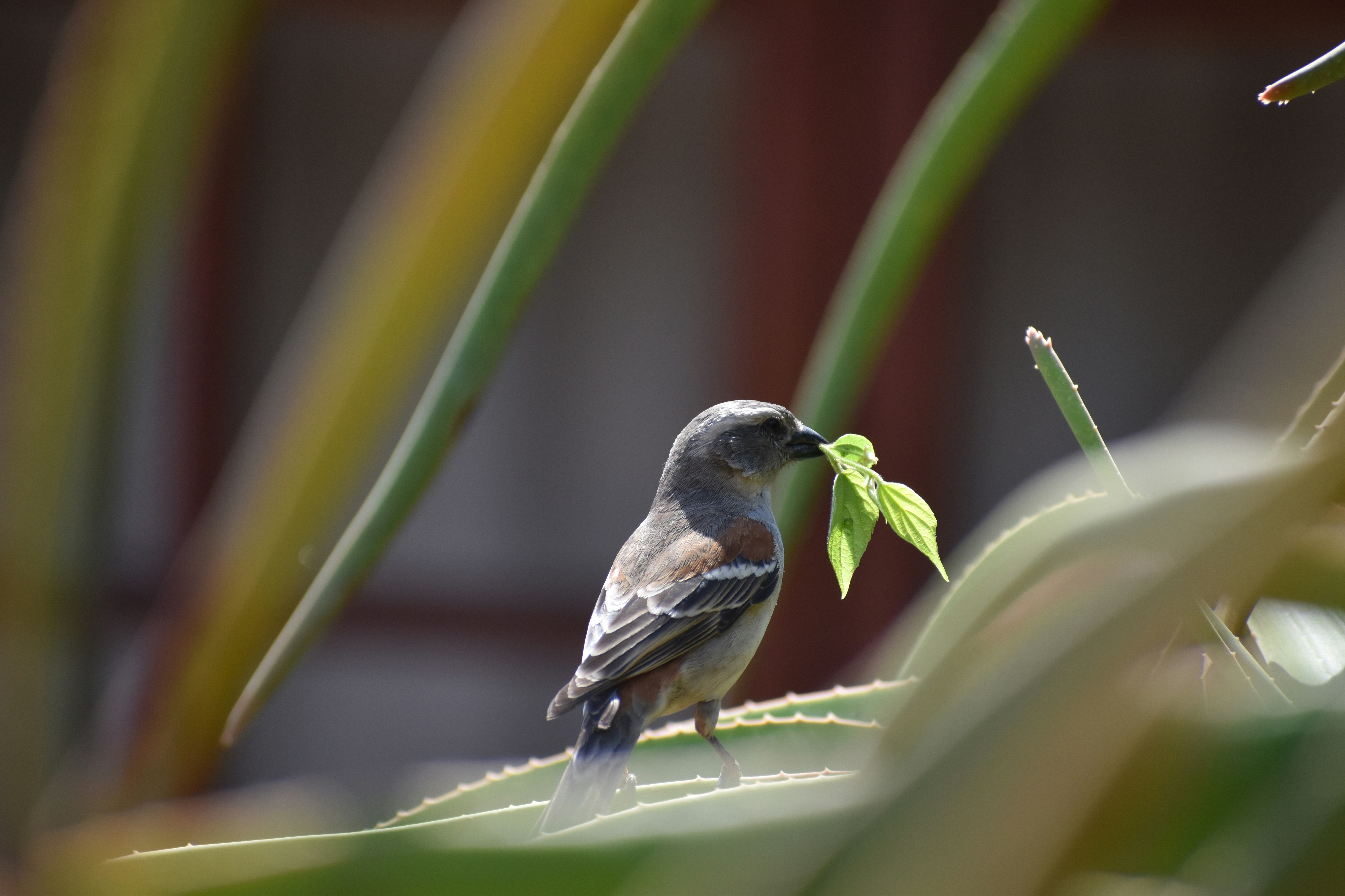 Bird delicately holding a green leaf amidst vibrant foliage. Natural setting highlights the harmony of wildlife and plant life.