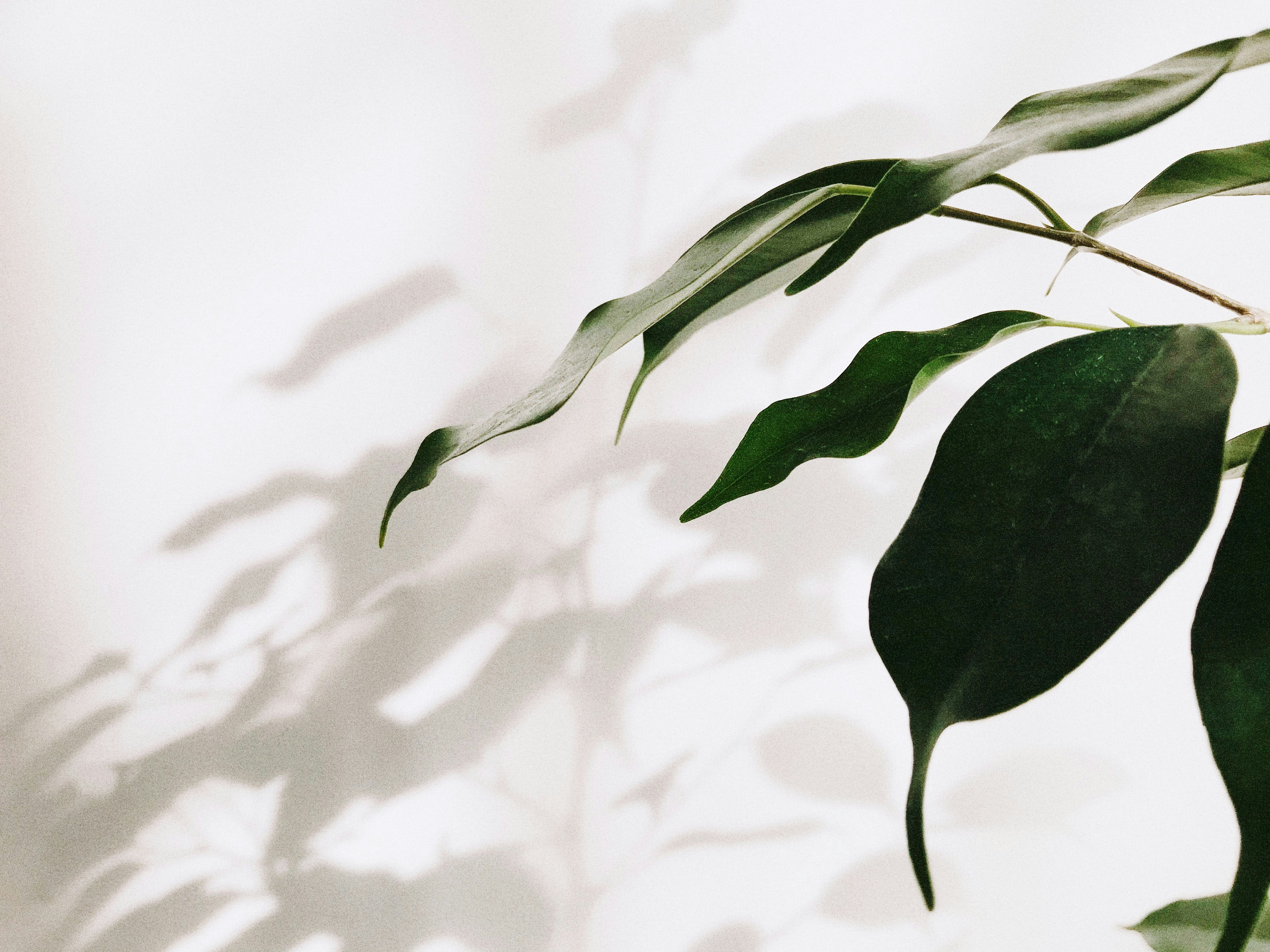 Studio - Trace Architectures