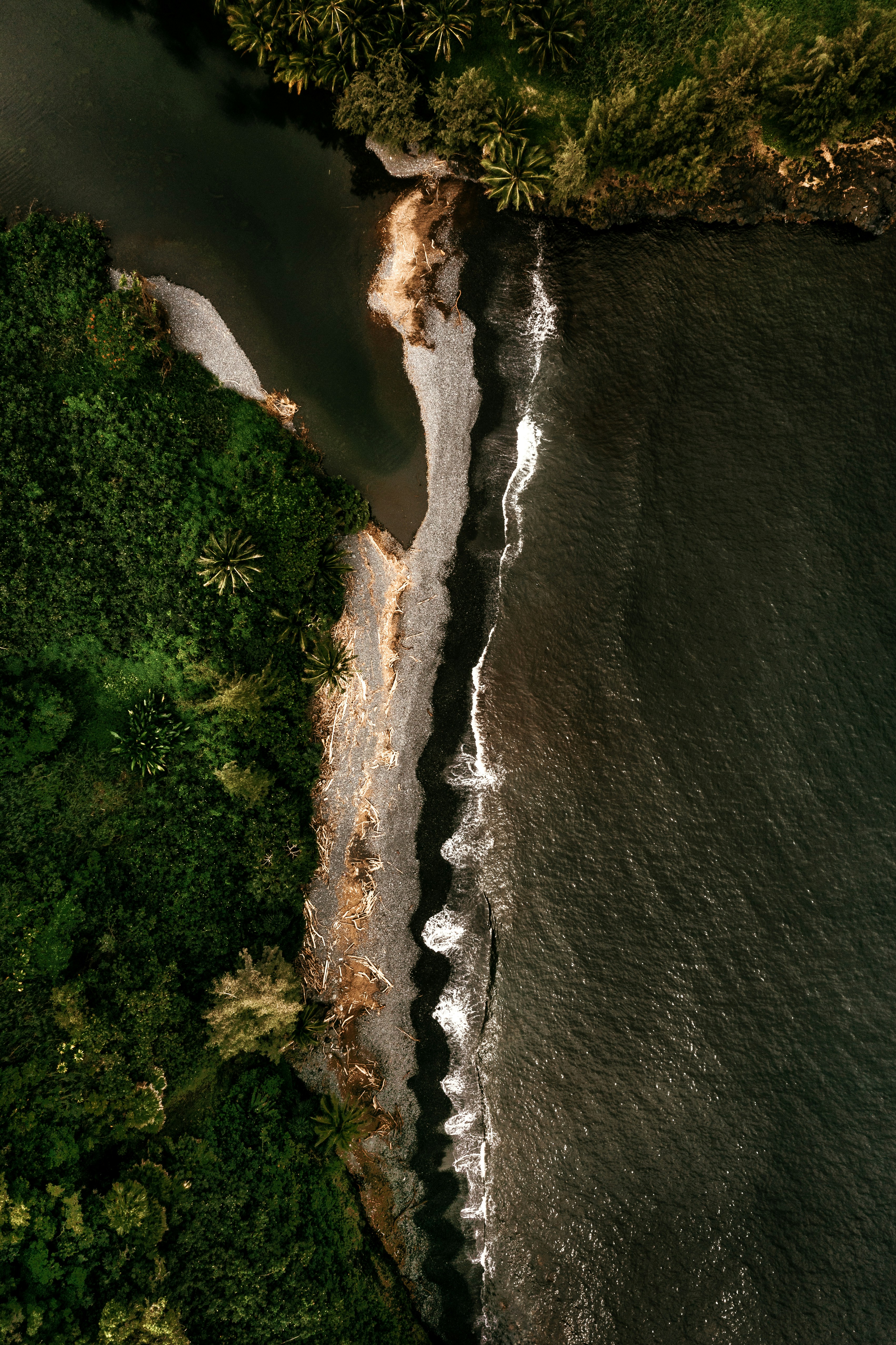Oahu island near Jaws | aerial view of green trees beside body of water during daytime