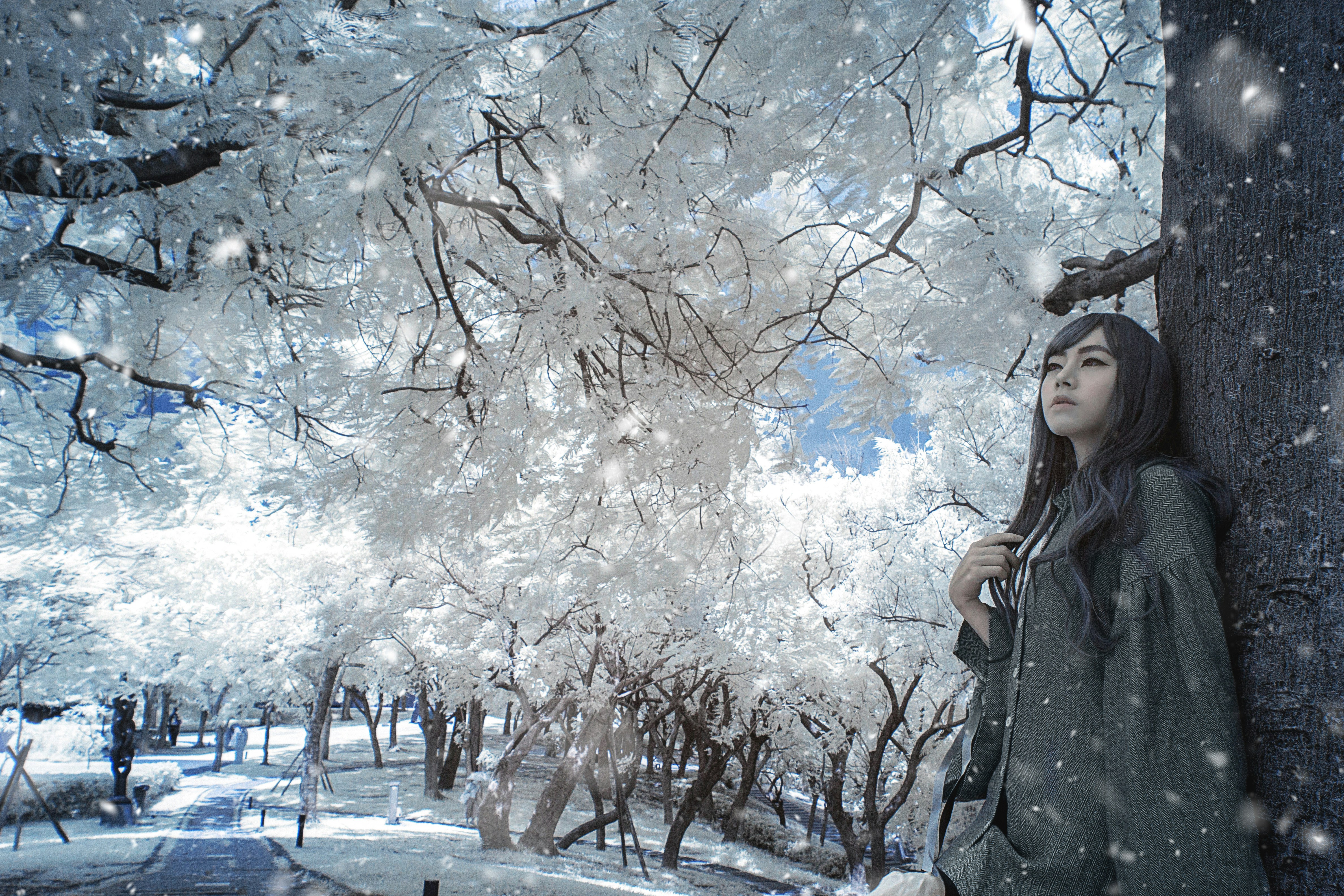 Freeze Frame: A Woman Against Frosted Oaks Beneath Winter Snowfall