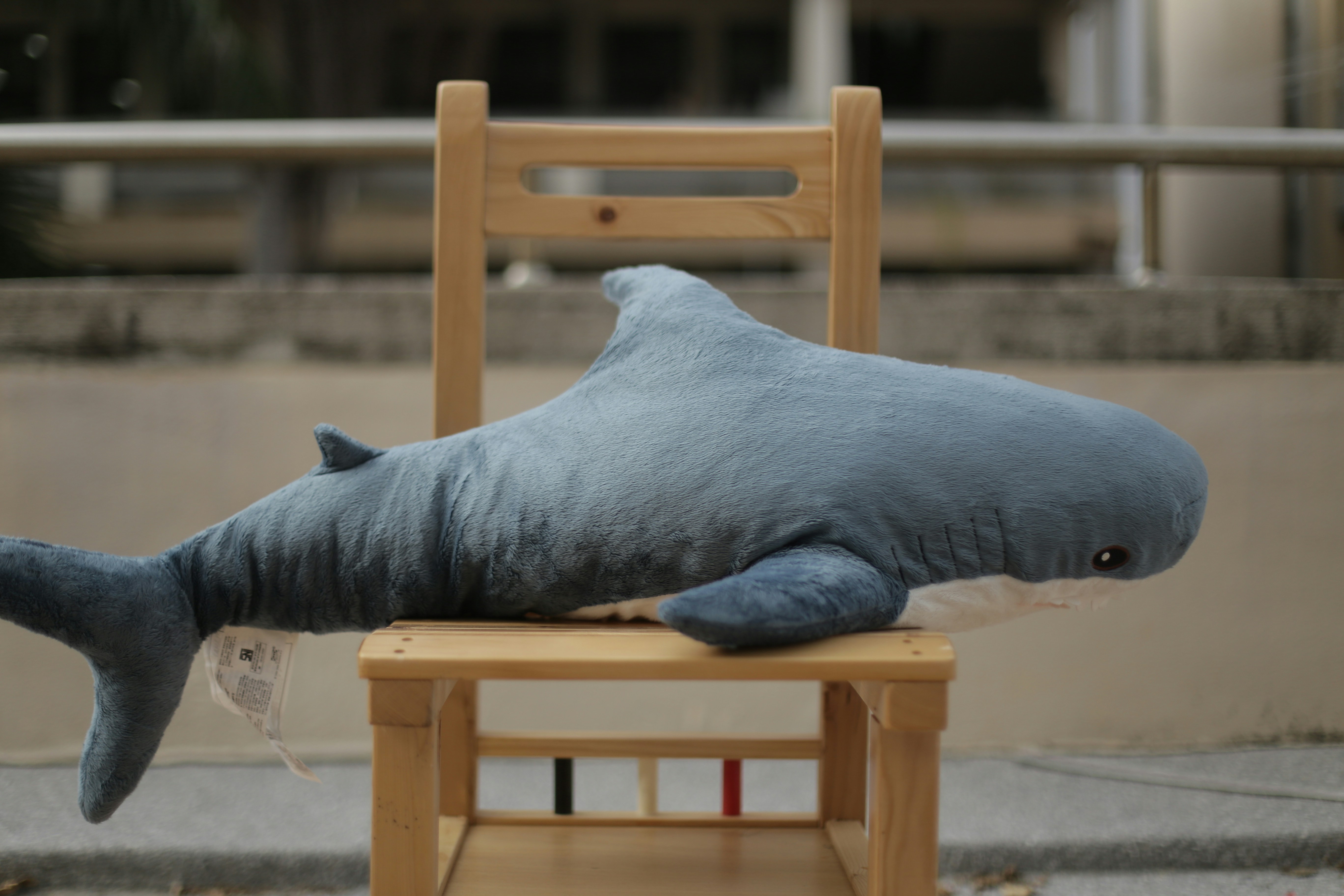 Blue Shark Plush Takes a Seat: A Quiet Studio Moment