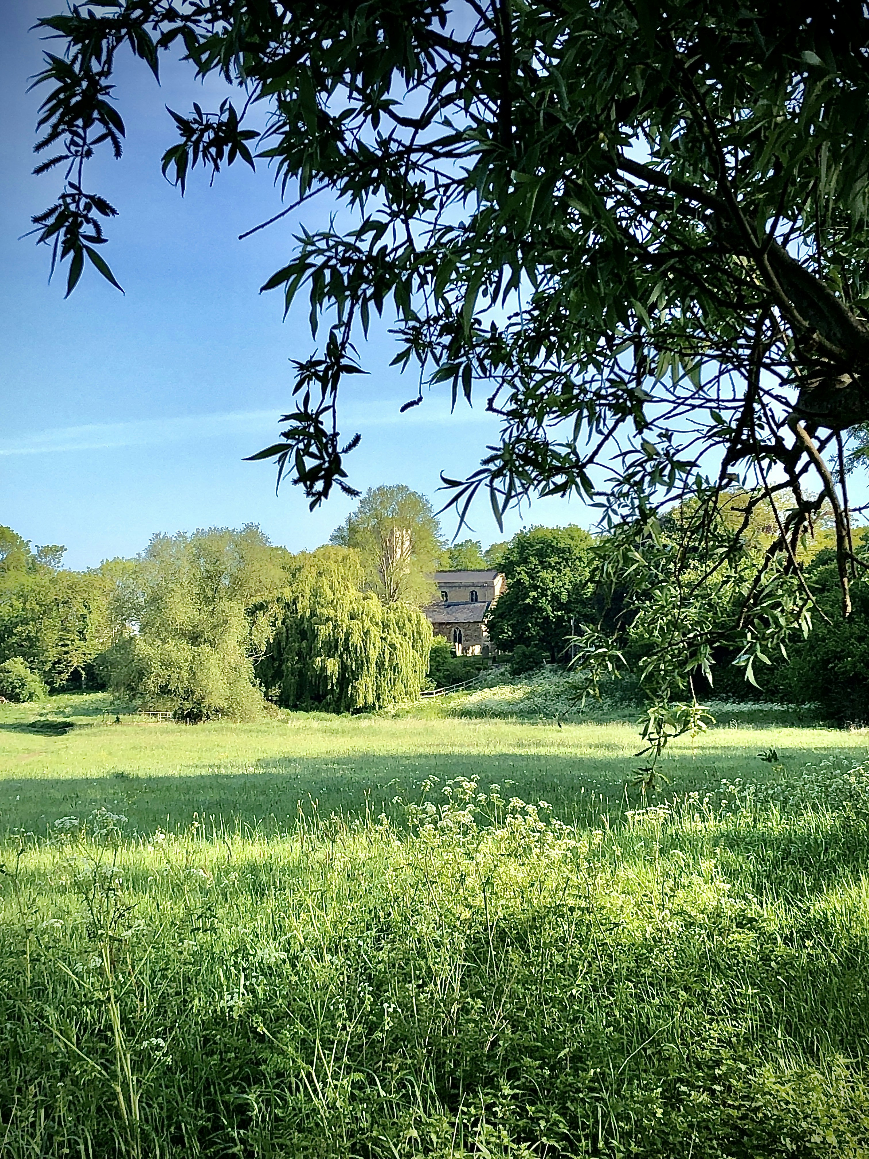 A tranquil landscape featuring a vibrant green meadow framed by leafy branches, with a glimpse of a rustic building in the background. The scene captures the essence of peaceful nature.