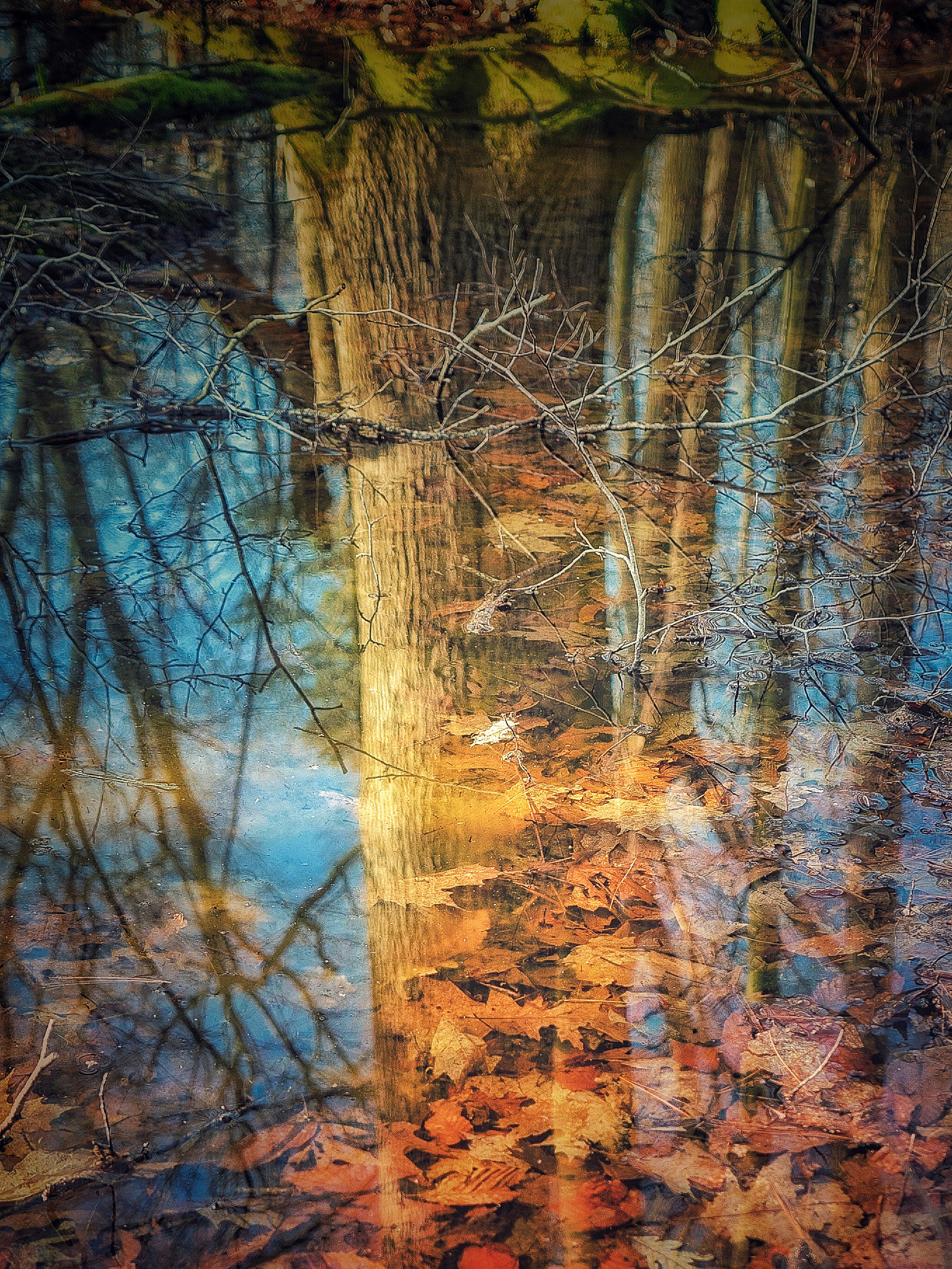 The colours of reflection.