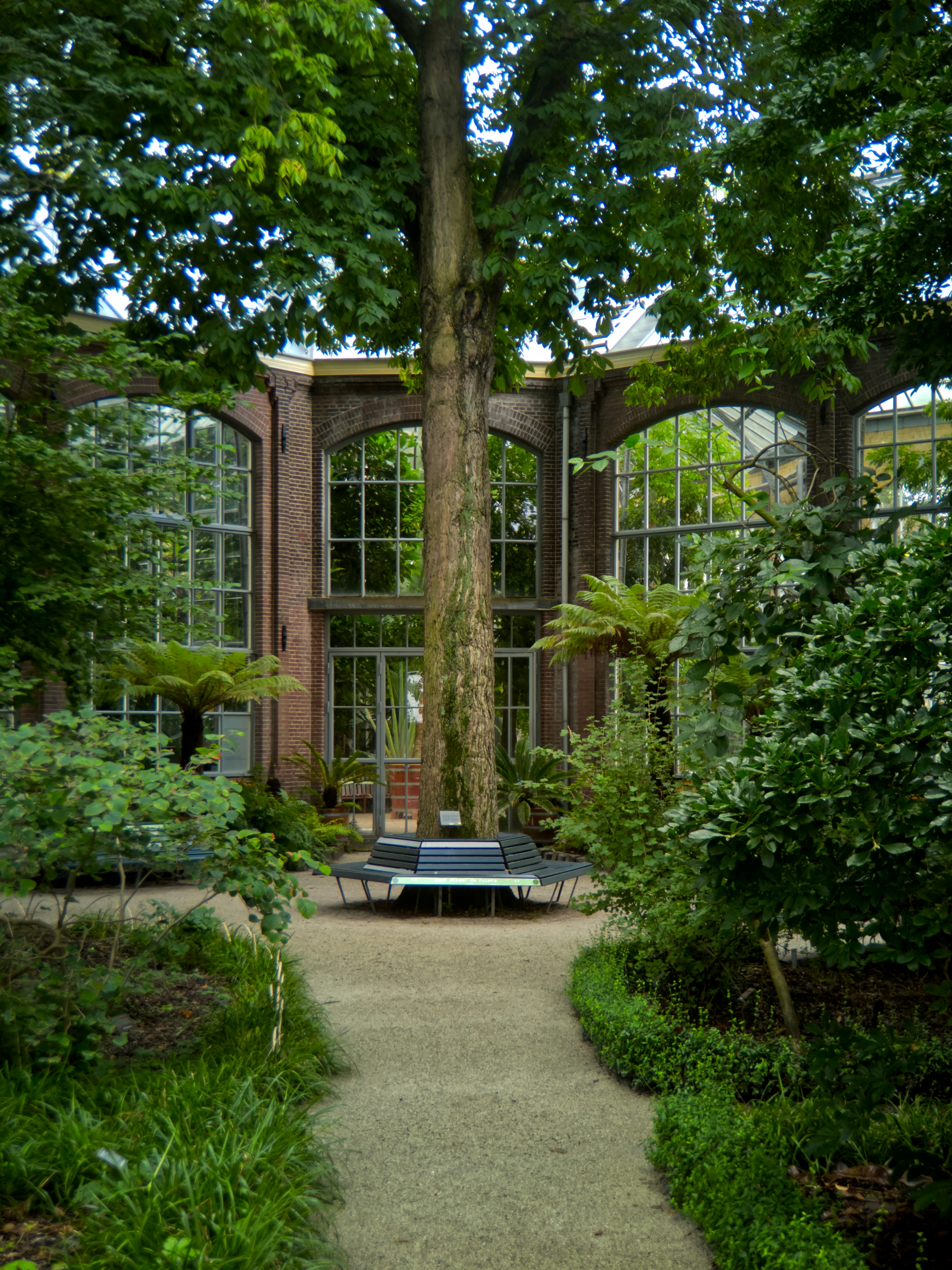 Lush garden path leading to a central tree, framed by large glass windows of a greenhouse. The scene highlights the harmony between nature and built structures.