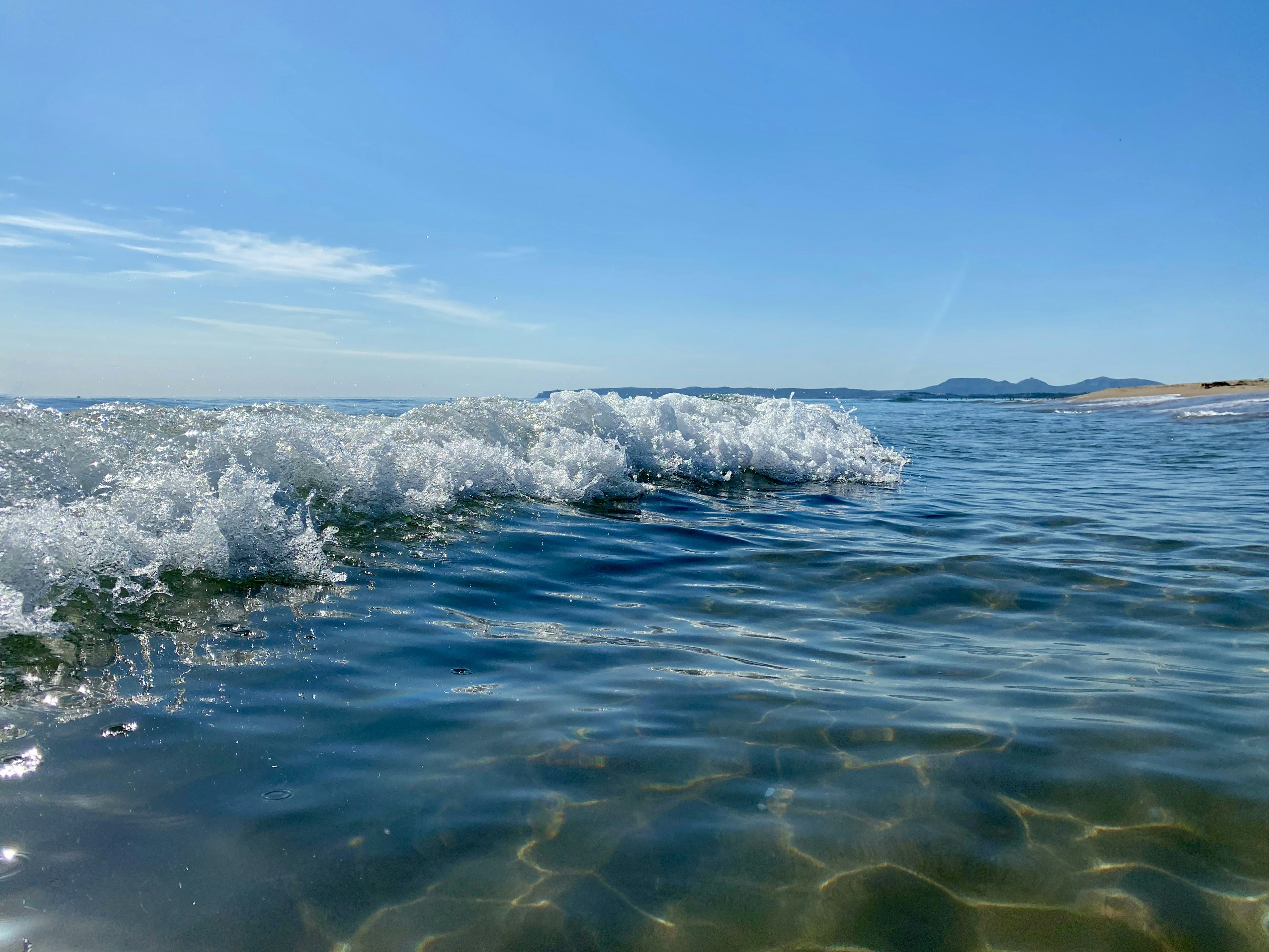 Desktop Wallpaper Summer Pictures | Download Free Images on Unsplash