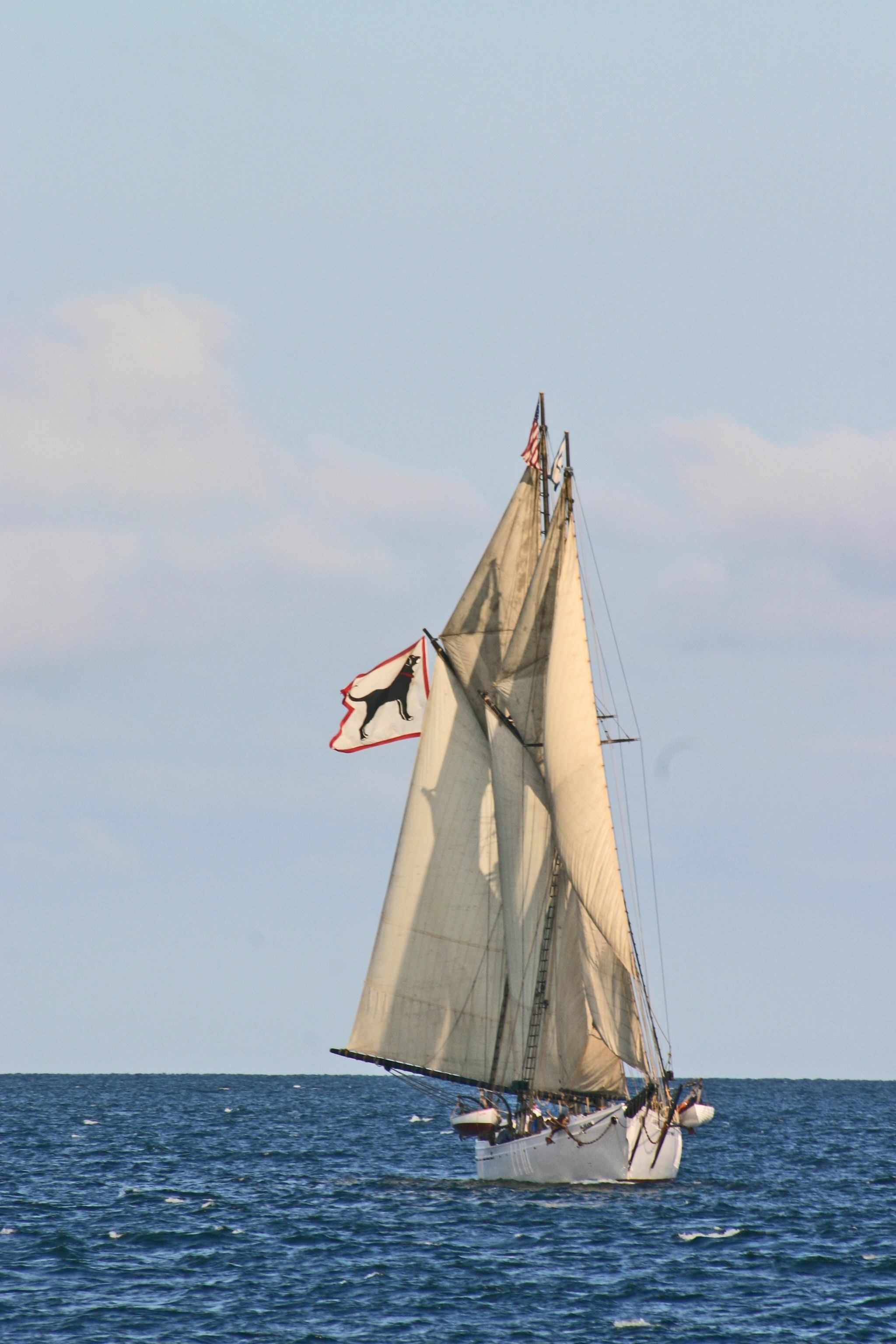 Tall ship with billowing sails gliding across a calm sea, featuring a distinctive flag. The serene backdrop enhances the maritime experience.