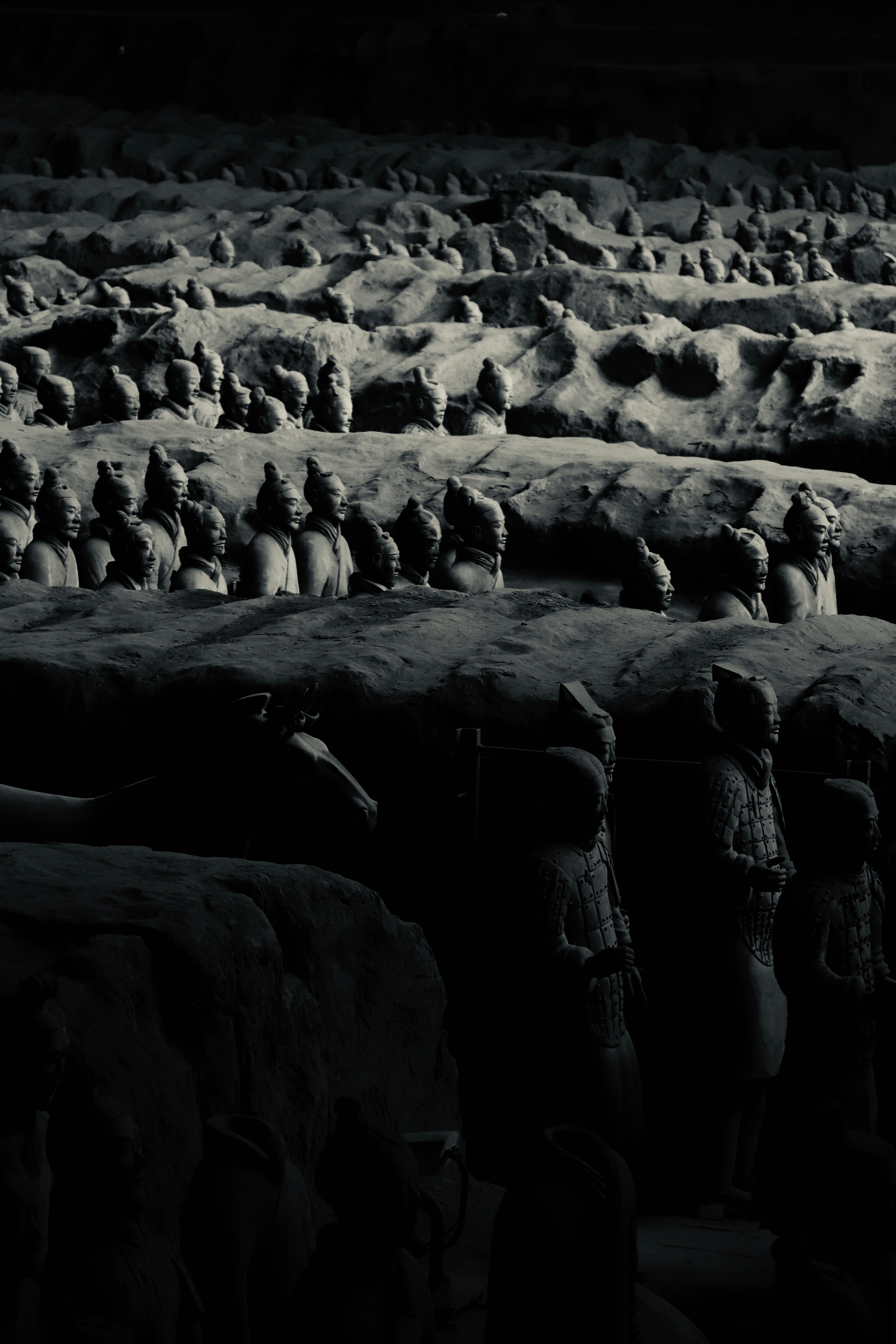 Echoes of Stone: A Field of Buddhas in Shadowed Rows