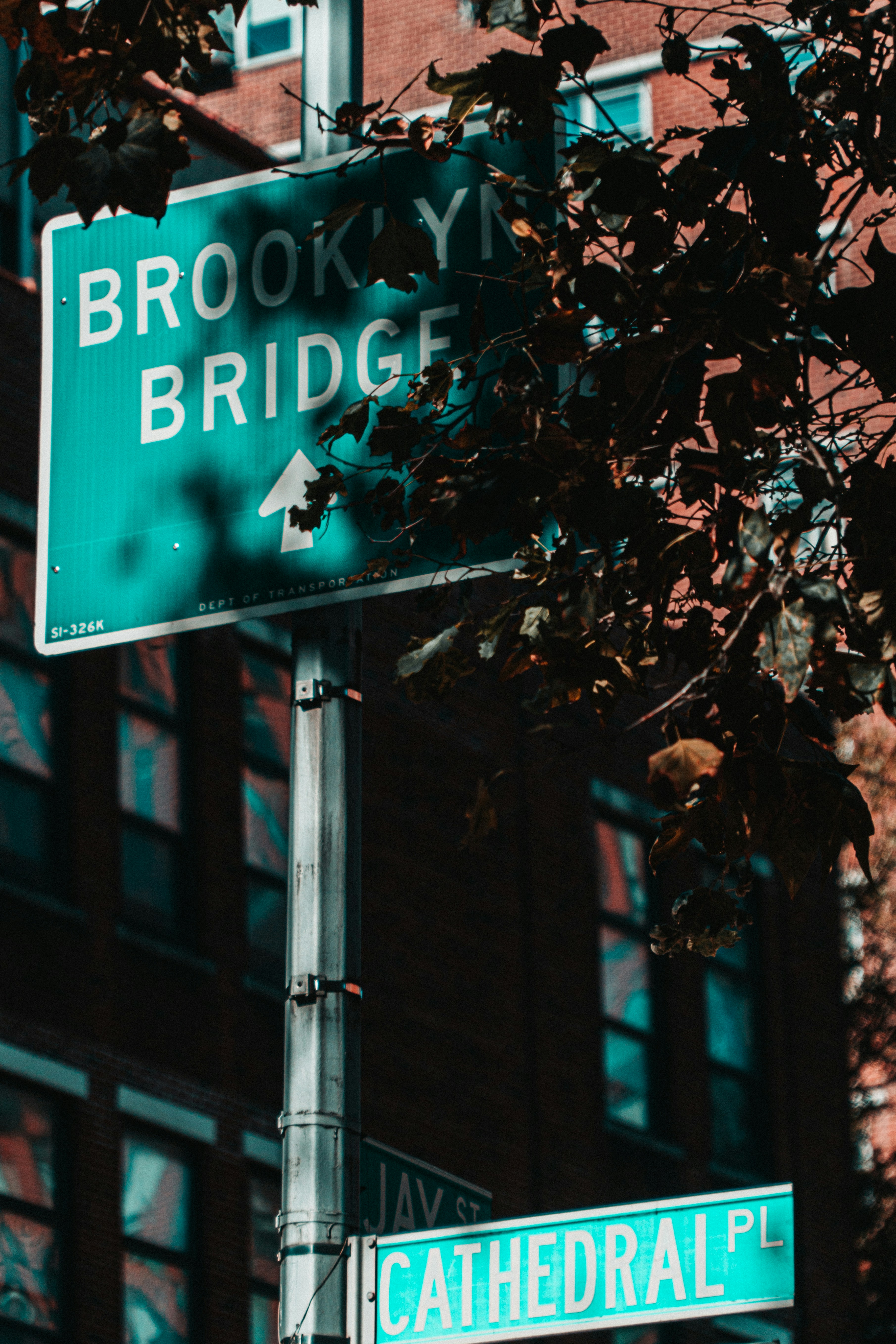 Teal Signage, Shadowed by Leaves: Brooklyn Bridge and Cathedral Place in One Frame