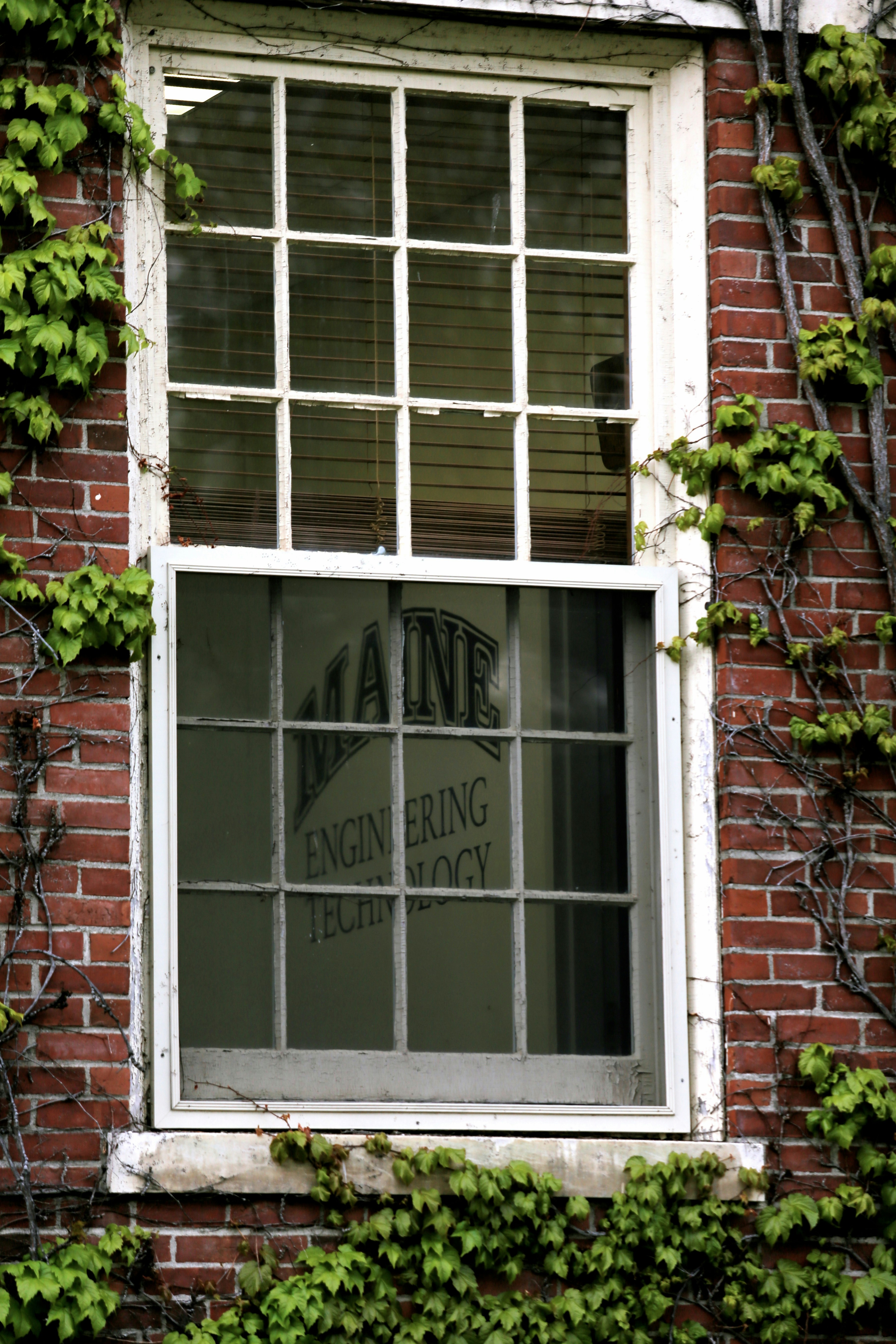Ivy-clad brick wall frames a multi-pane window; the bottom pane reveals a faded Kane Engineering Technology sign behind glass.