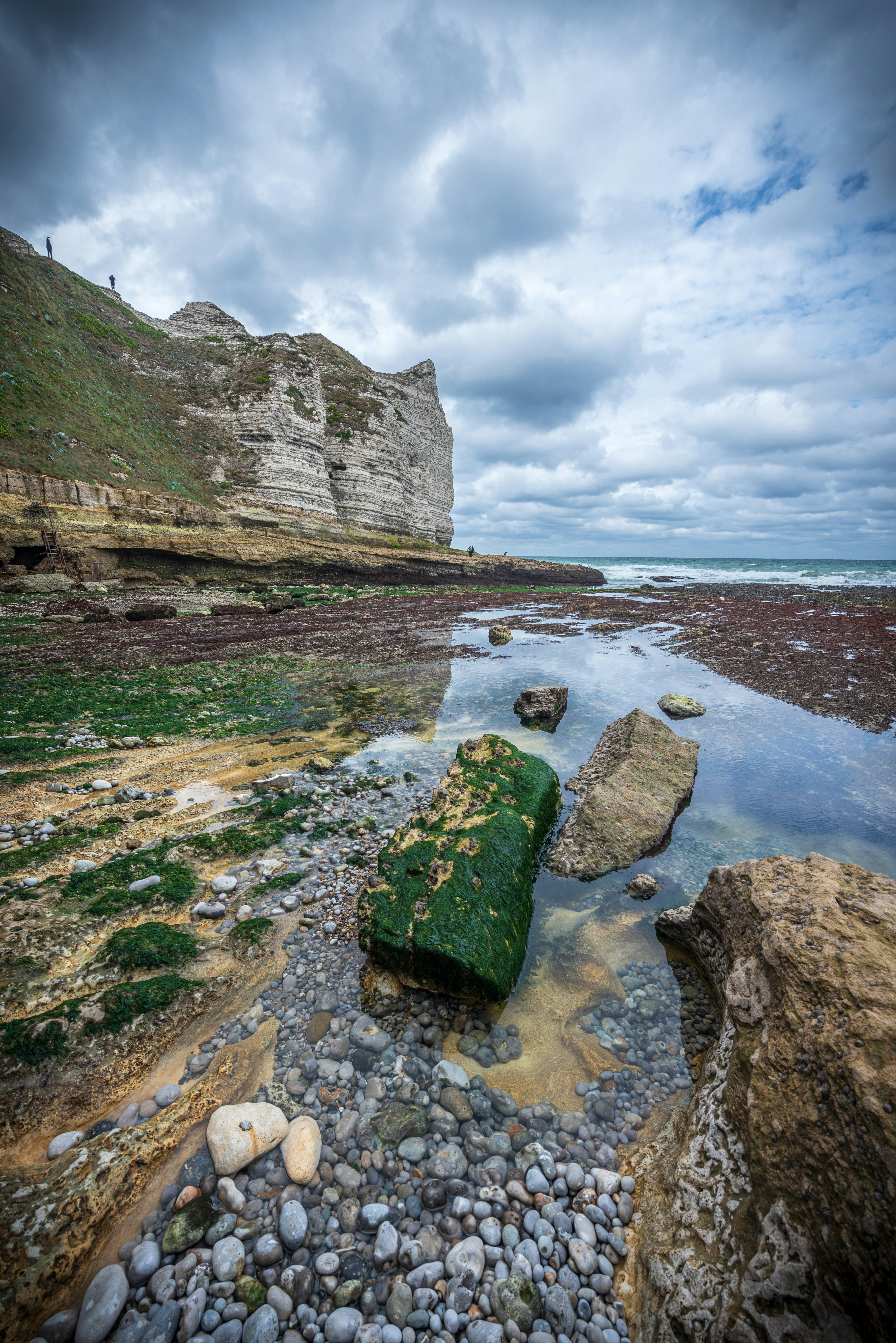 Sea Cliff Mosaic: Tumbled Rocks and Mossy Green Reefs by the Tidal Edge