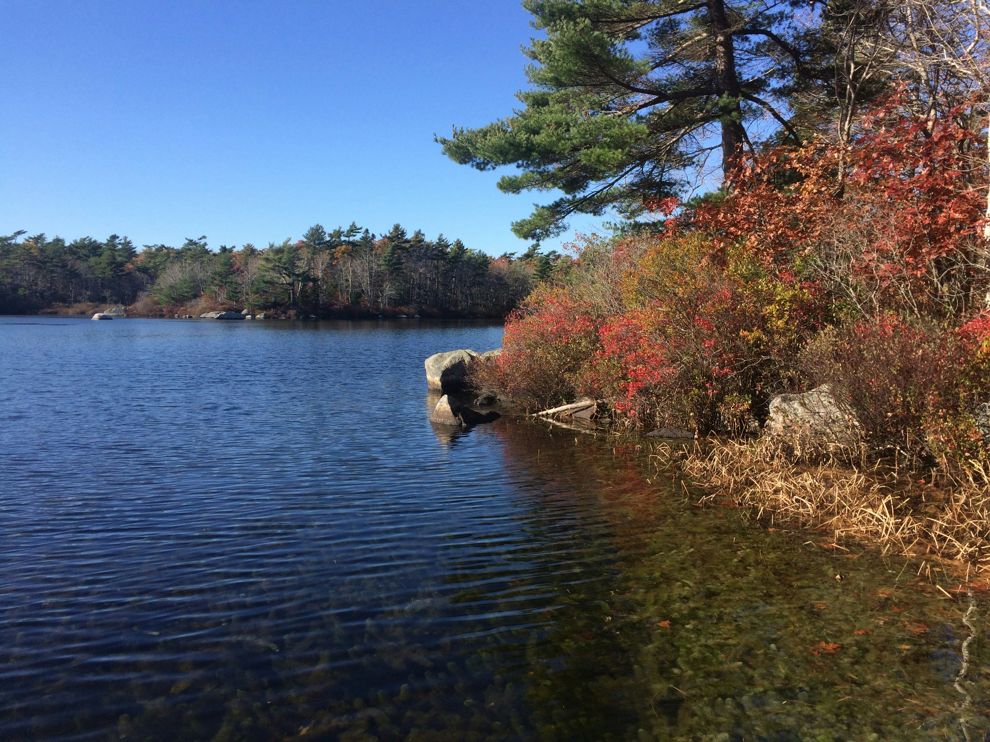 Autumn Hues by the Tranquil Pond