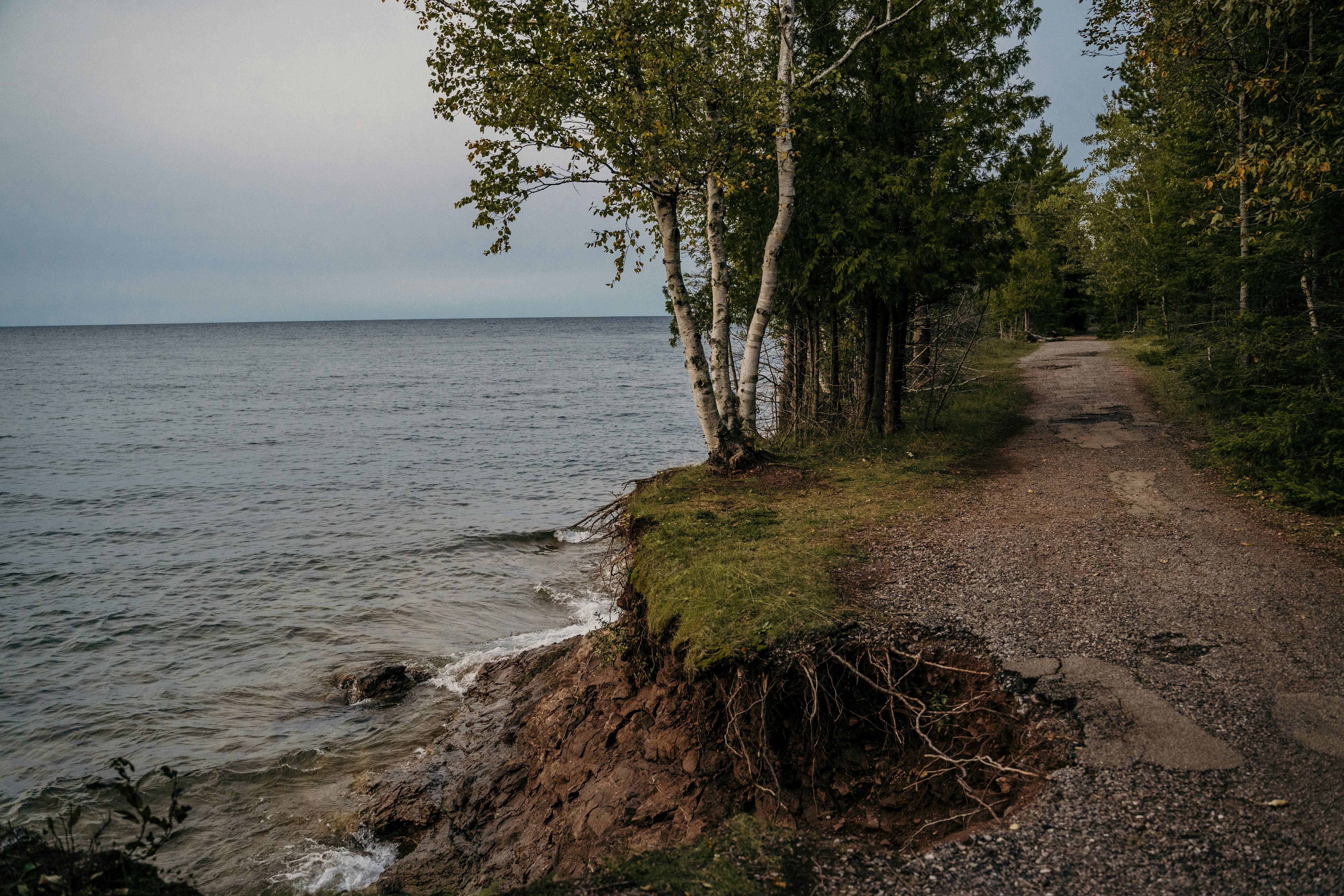 Green tree near body of water during daytime photo – Free Presque isle ...