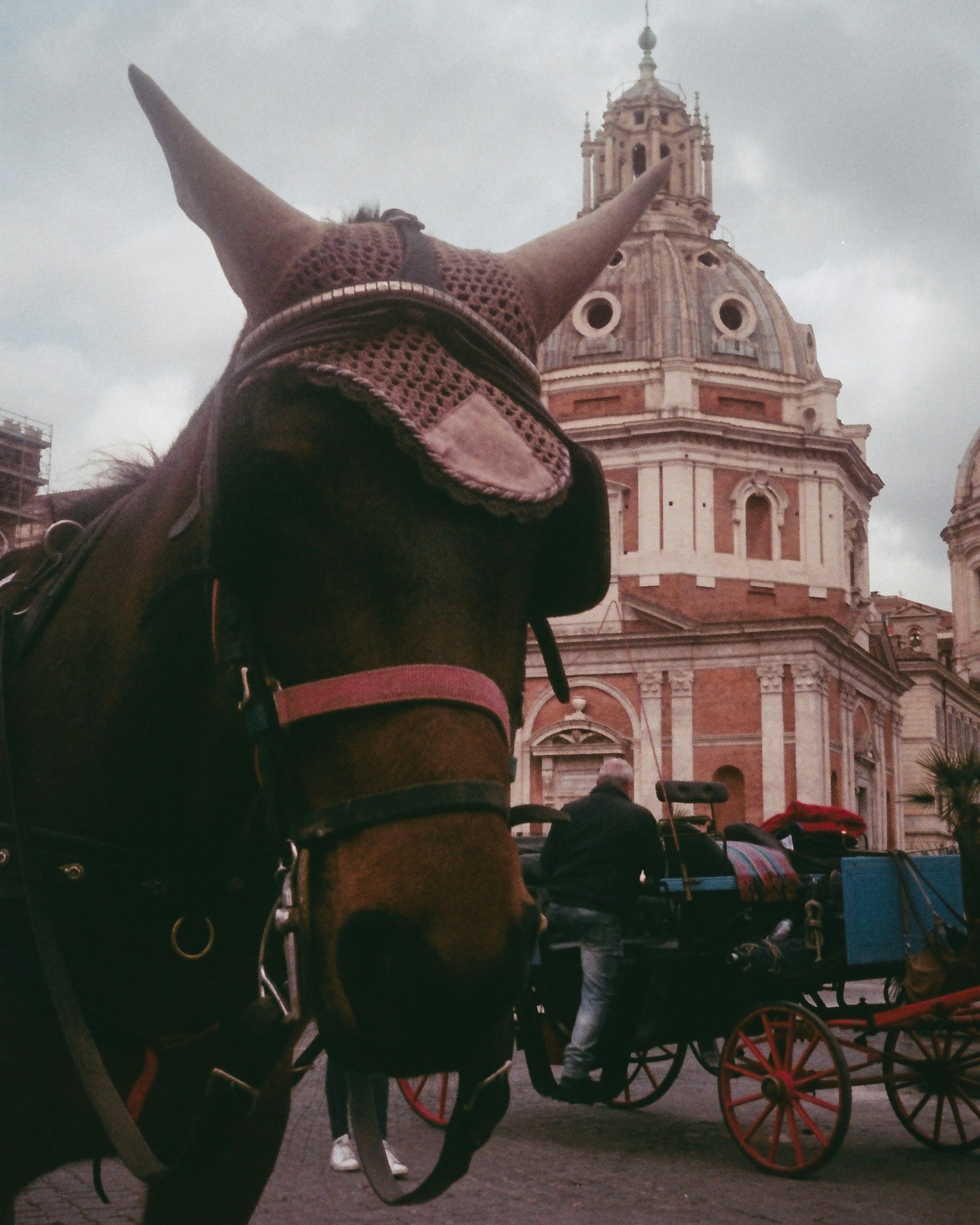 People riding horse near white concrete building during daytime photo ...
