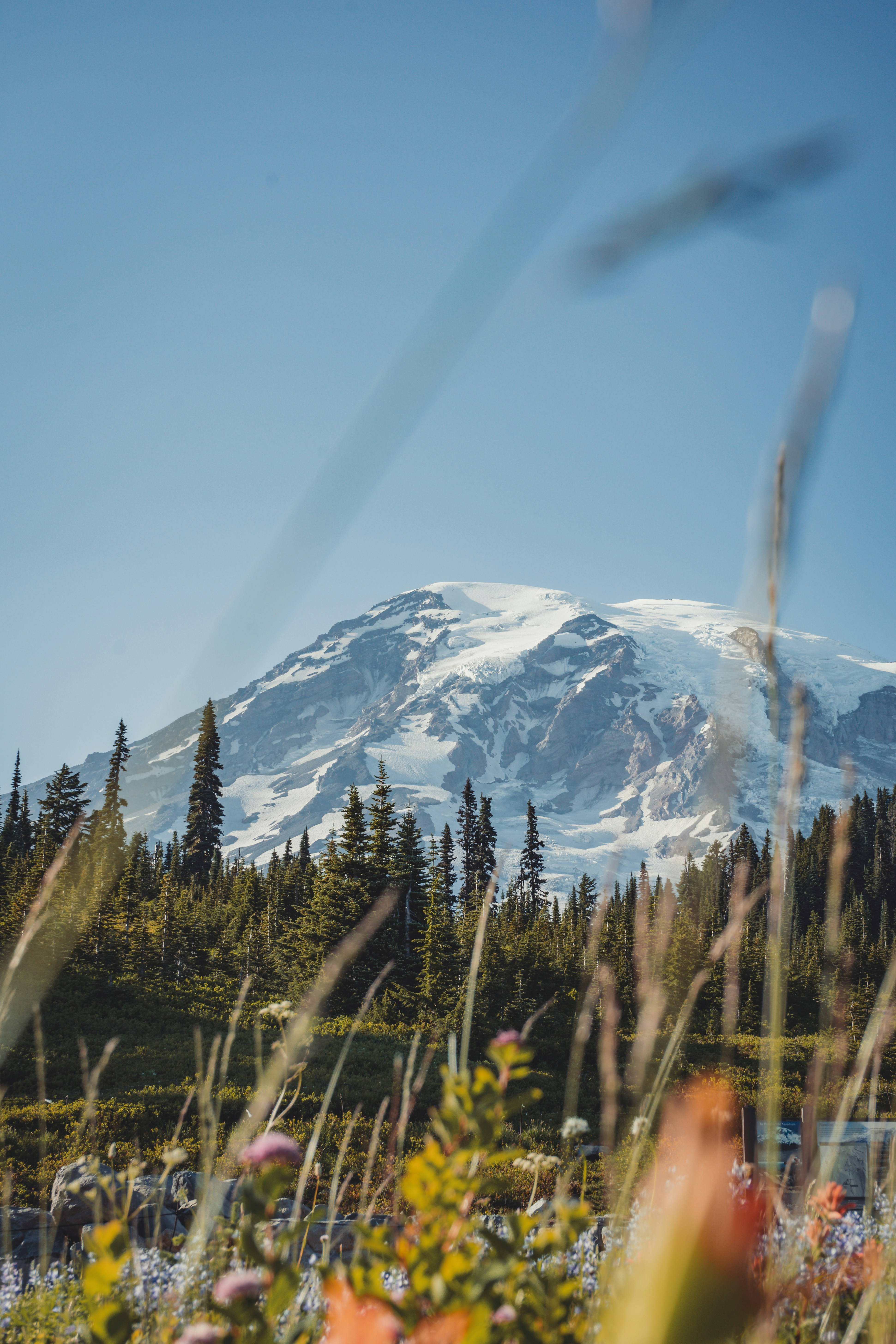 Mount Rainier Summit Wallpaper