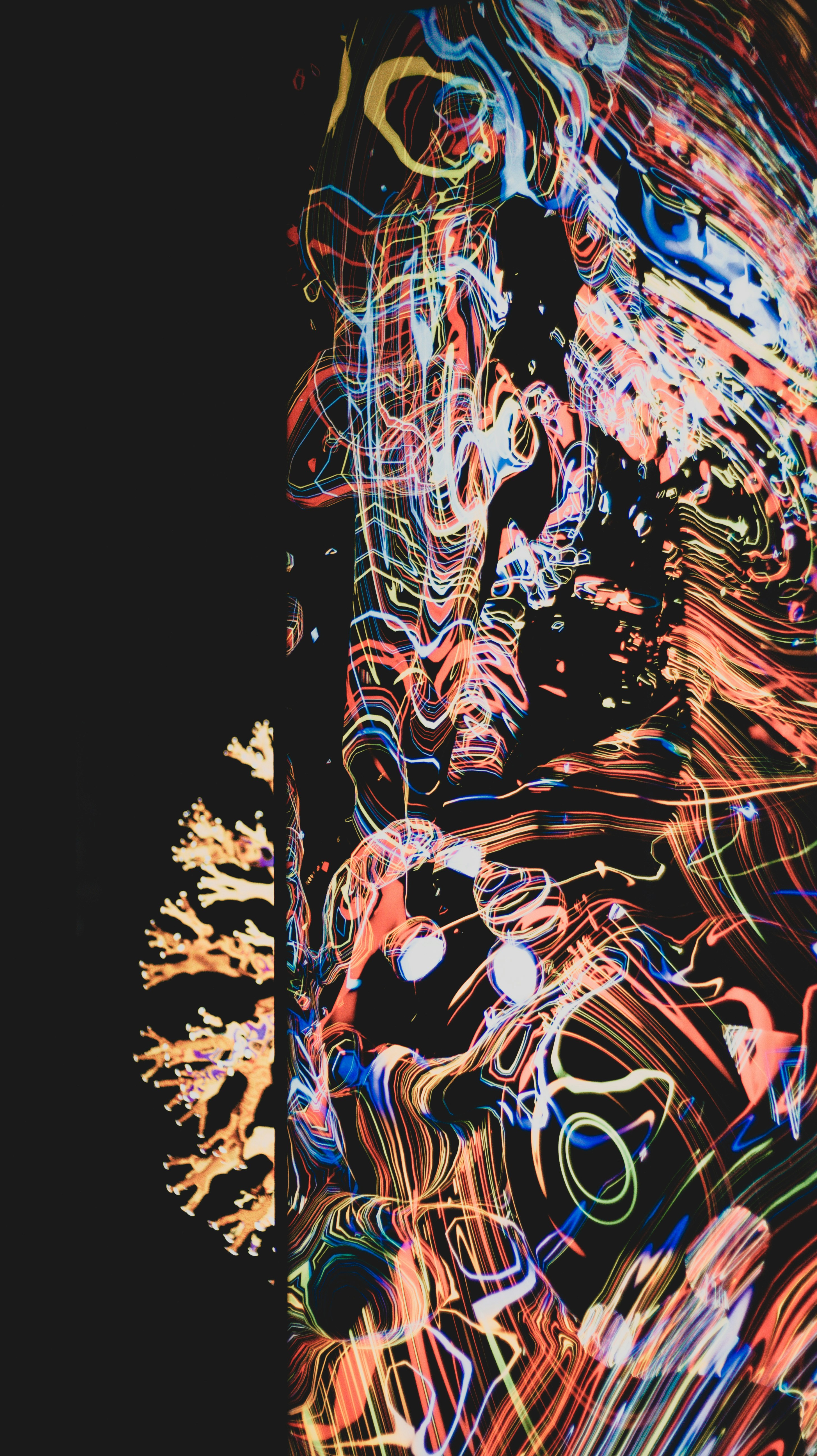 3d Graphics Pictures | Download Free Images on Unsplash