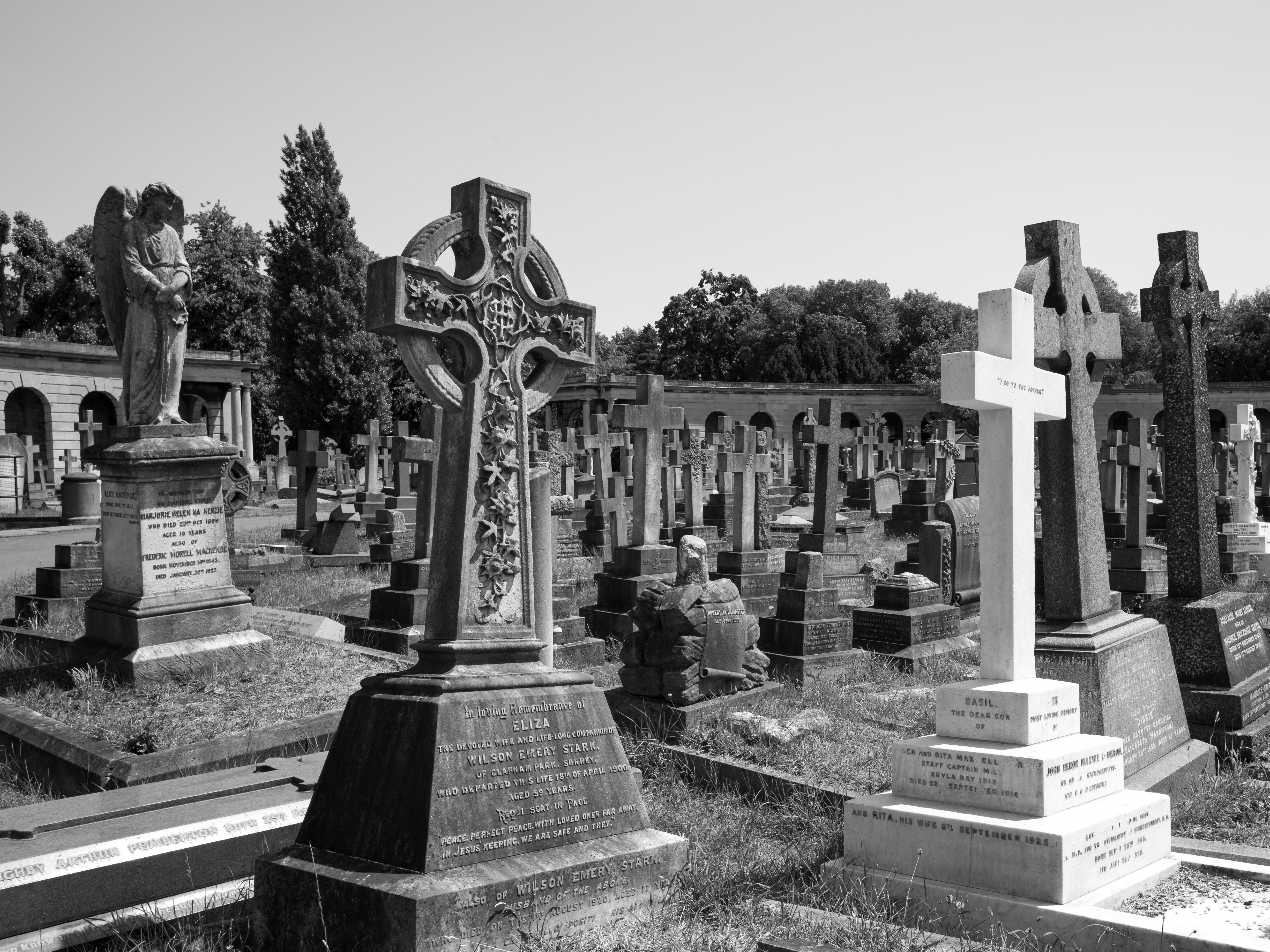 A serene cemetery scene featuring intricately designed gravestones and statues, surrounded by lush greenery. The monochrome tones enhance the solemn atmosphere.
