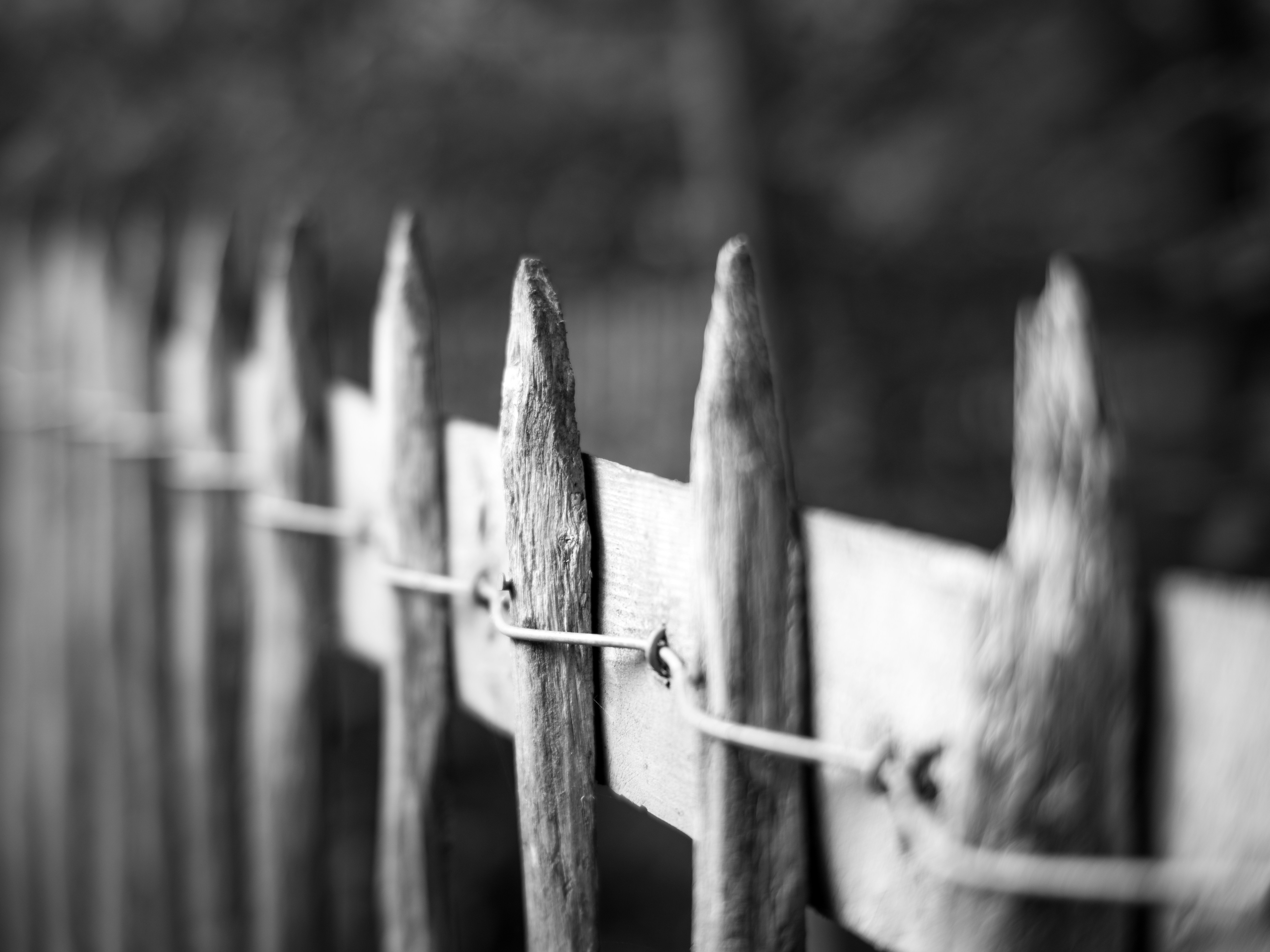 Detailed black and white image of fence with very shallow focus.
