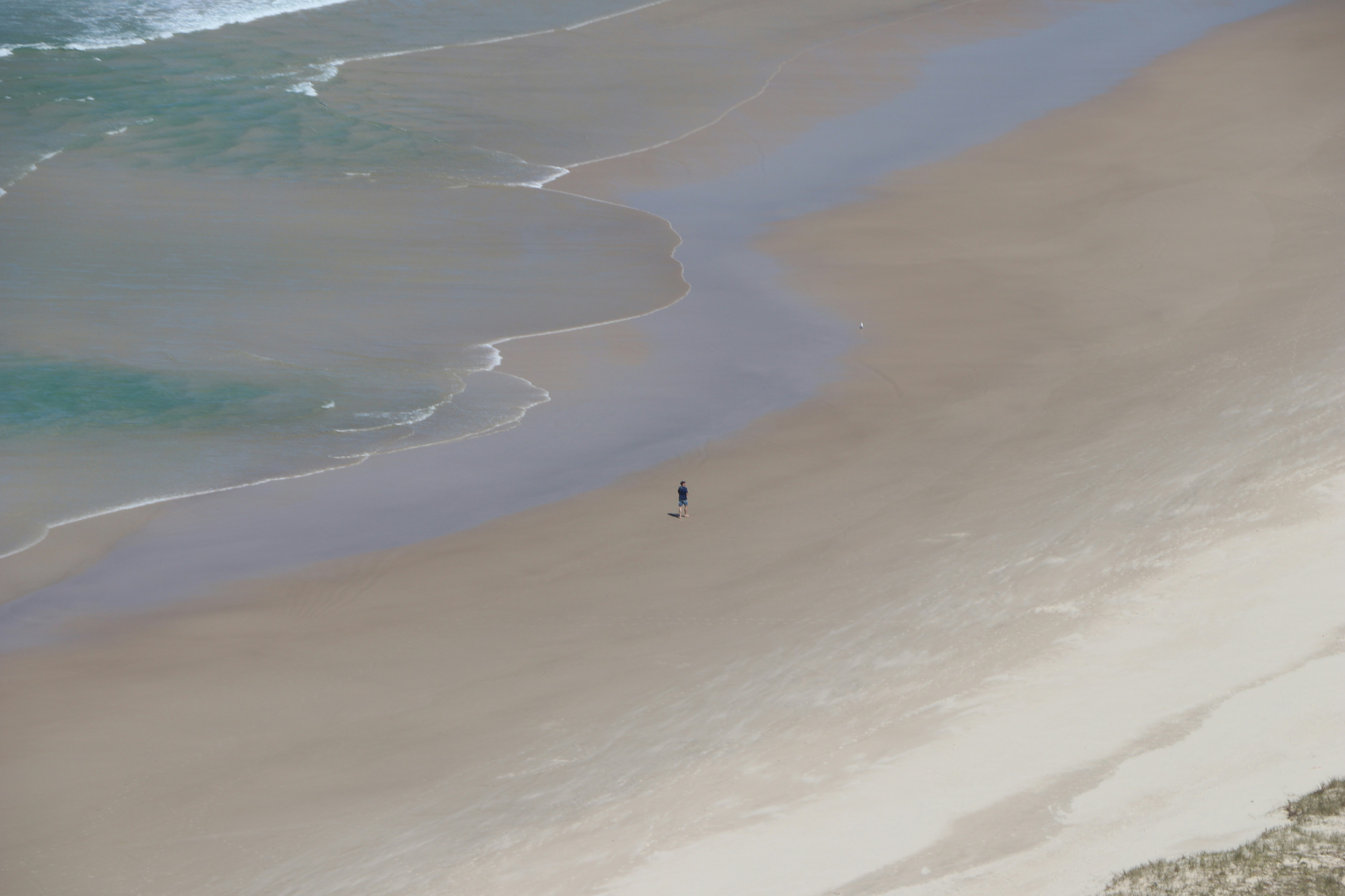 Lone Figure on a Curving Shoreline, Seen from Above