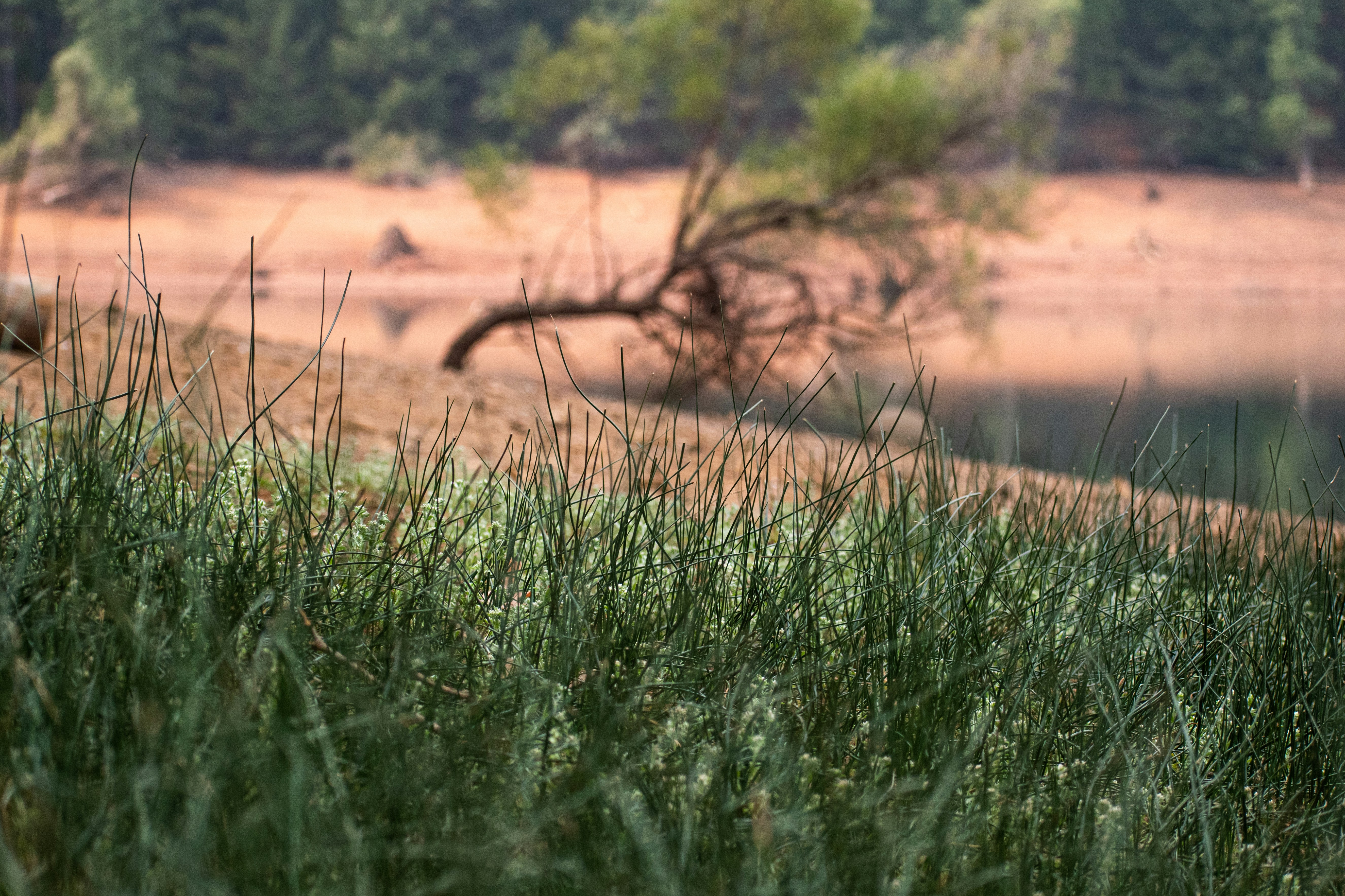Green grass field during daytime photo – Free Land Image on Unsplash
