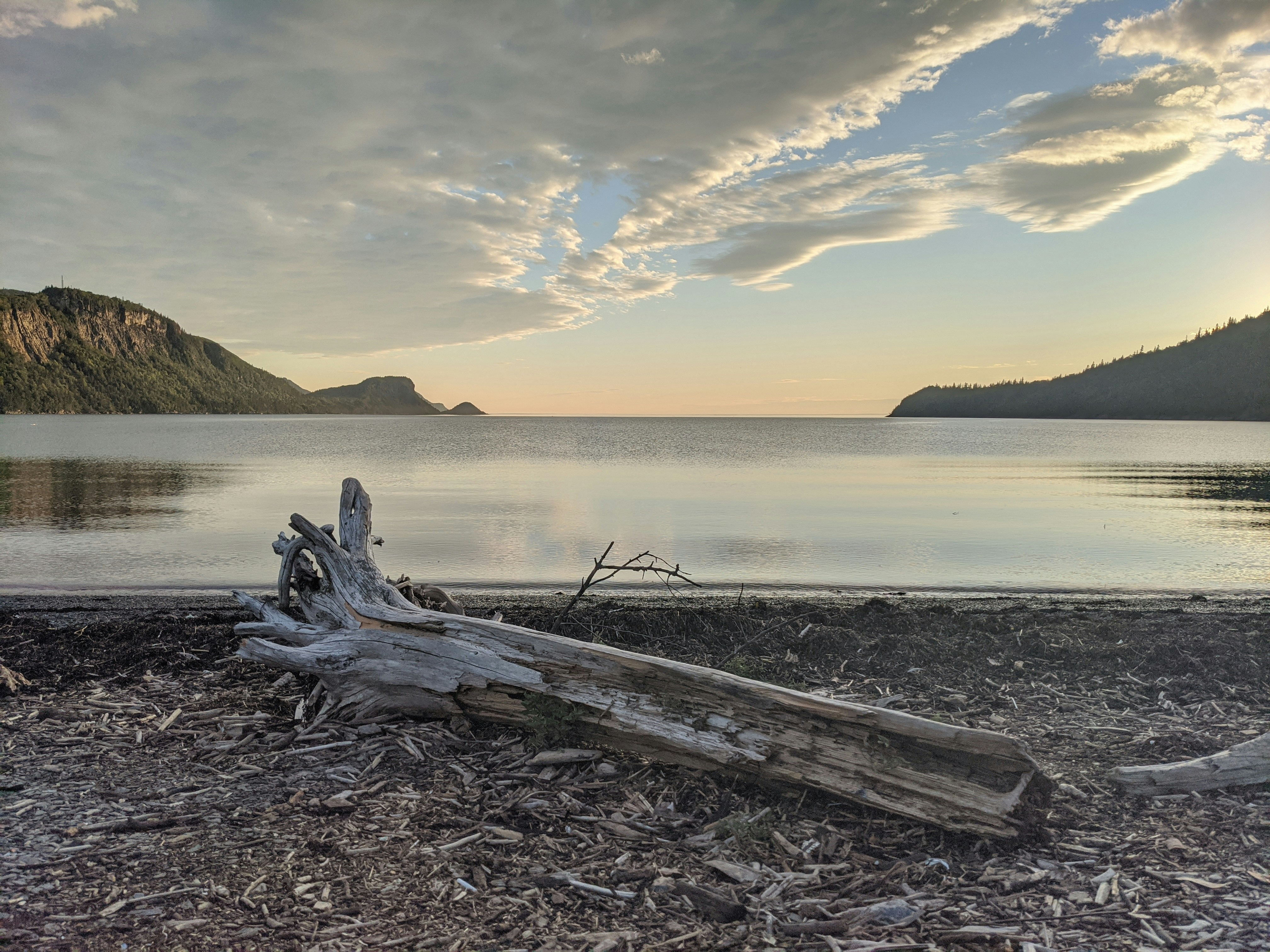 Gray wooden log on beach shore during daytime photo – Free Grey Image ...