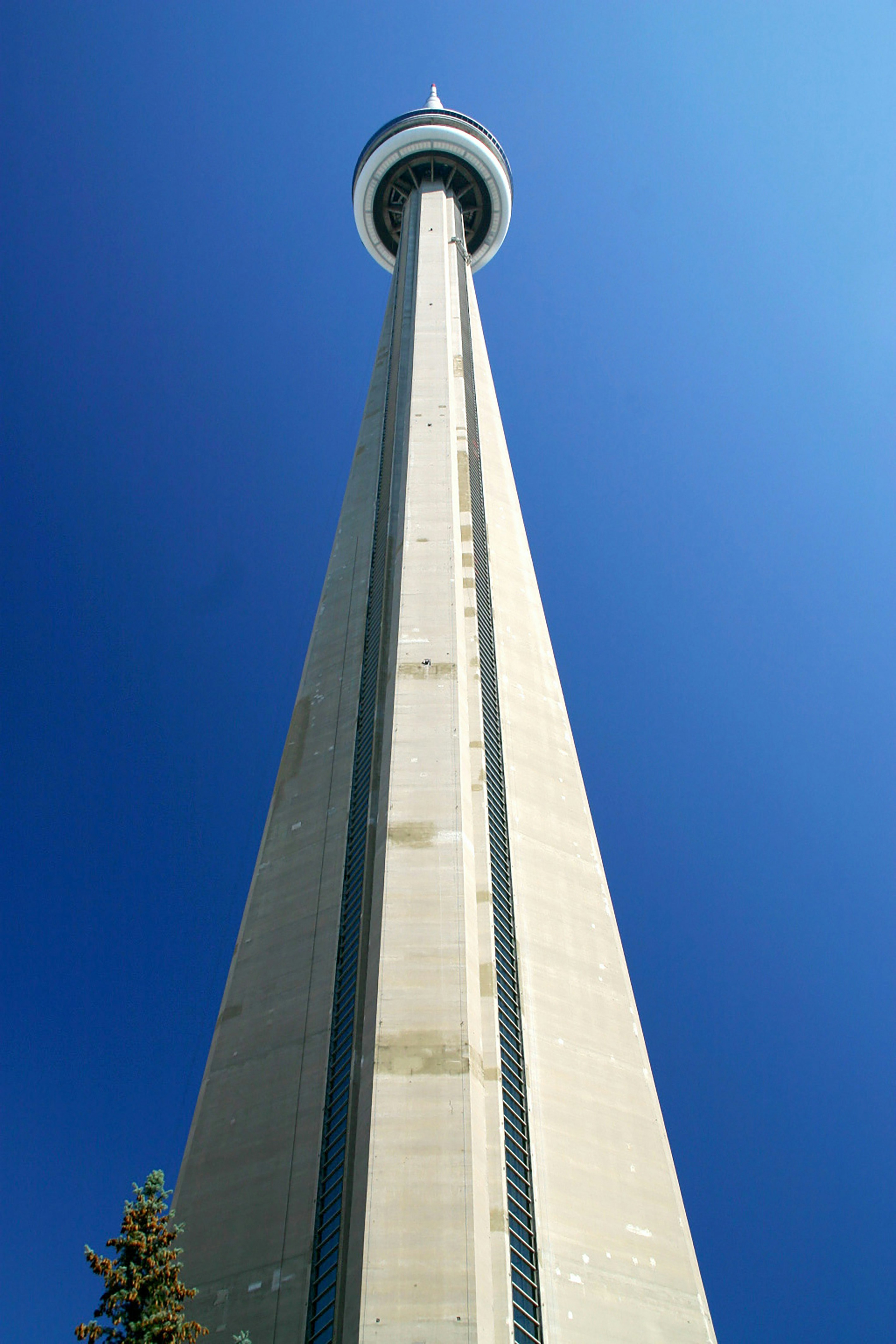 The CN Tower rises majestically against a clear blue sky, showcasing its architectural grandeur. A nearby tree adds a touch of nature to the urban landscape.