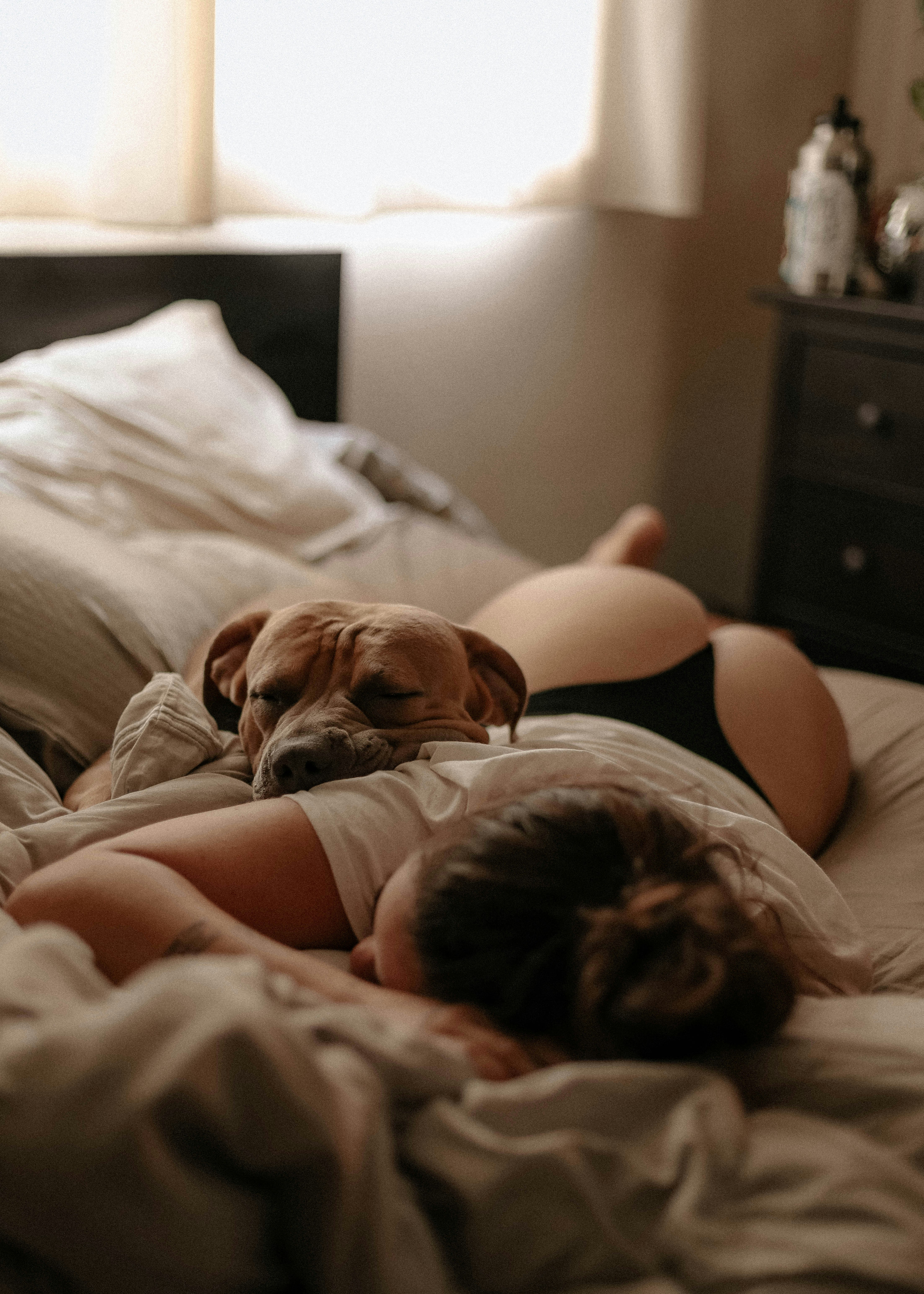 Amber Slumber: A dog curled beside a sleeping person on a rumpled bed