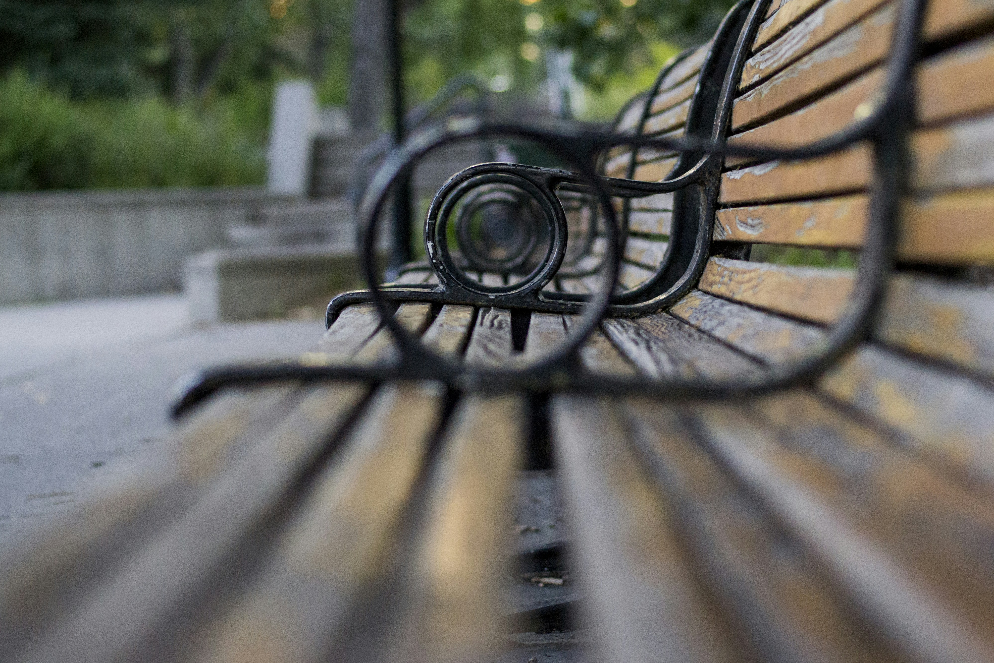 A close-up view of a park bench, showcasing the intricate metalwork entwined with wooden slats, inviting contemplation. The depth of field creates a soft focus on the bench's details.