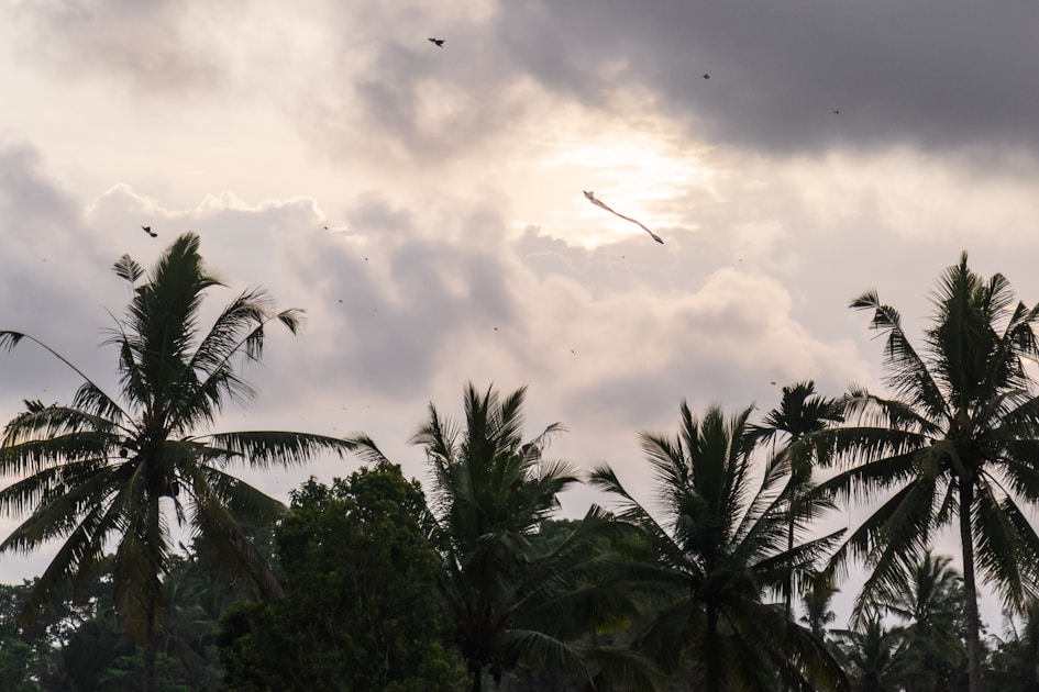 Top Laundry Service in Ubud - Diggy Doos Laundry Ubud