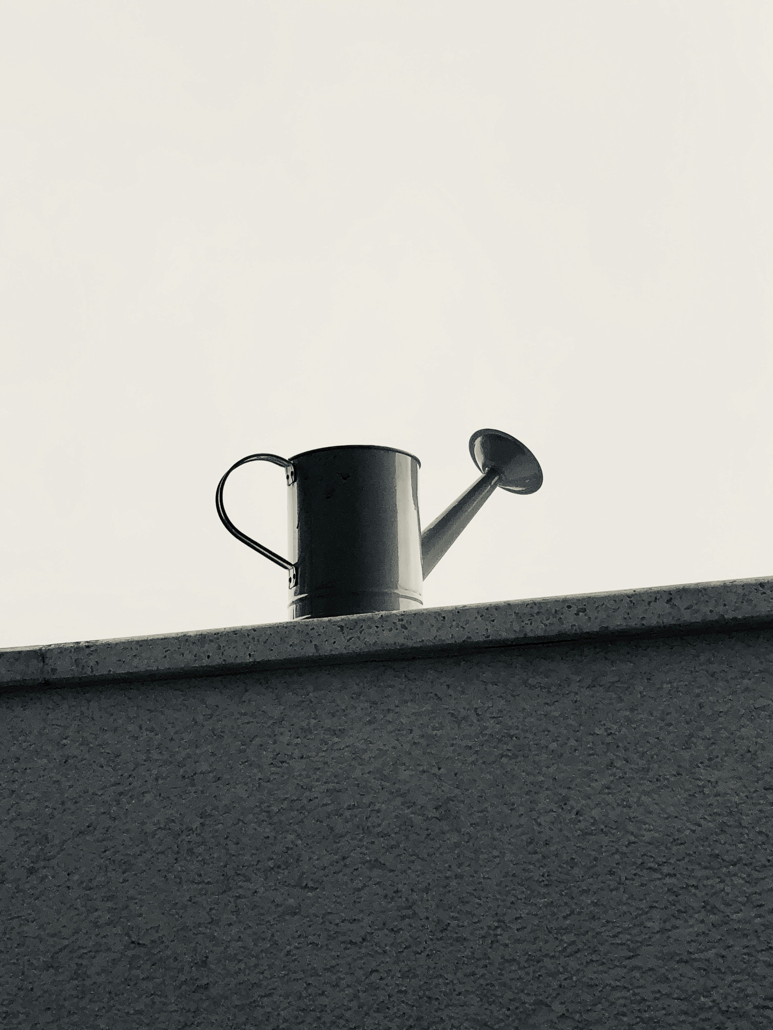 Metal watering can perched on the edge of a ledge against a muted sky.