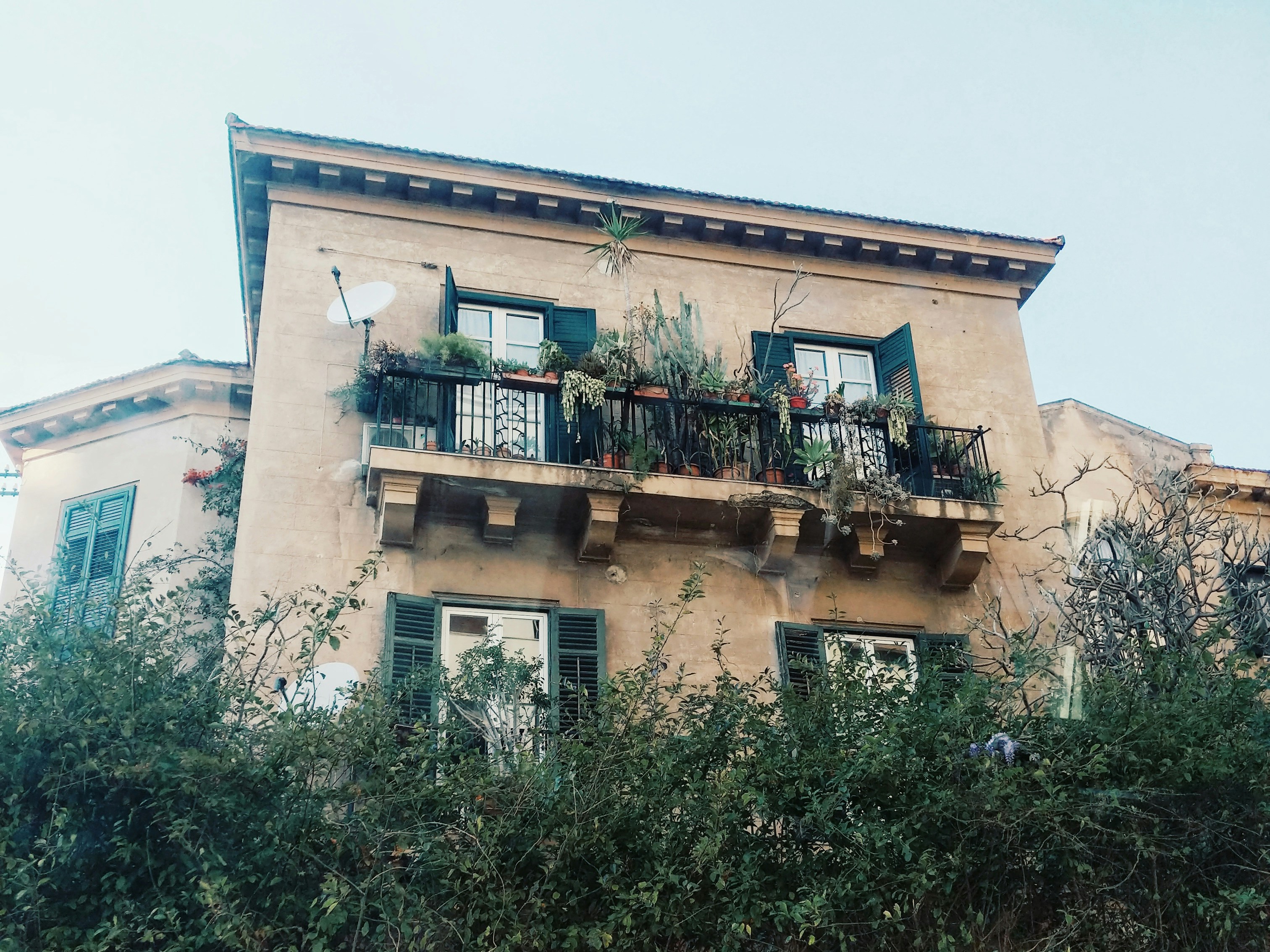 Charming building with a lush balcony garden, featuring green shutters and vibrant plants, set against a clear sky.