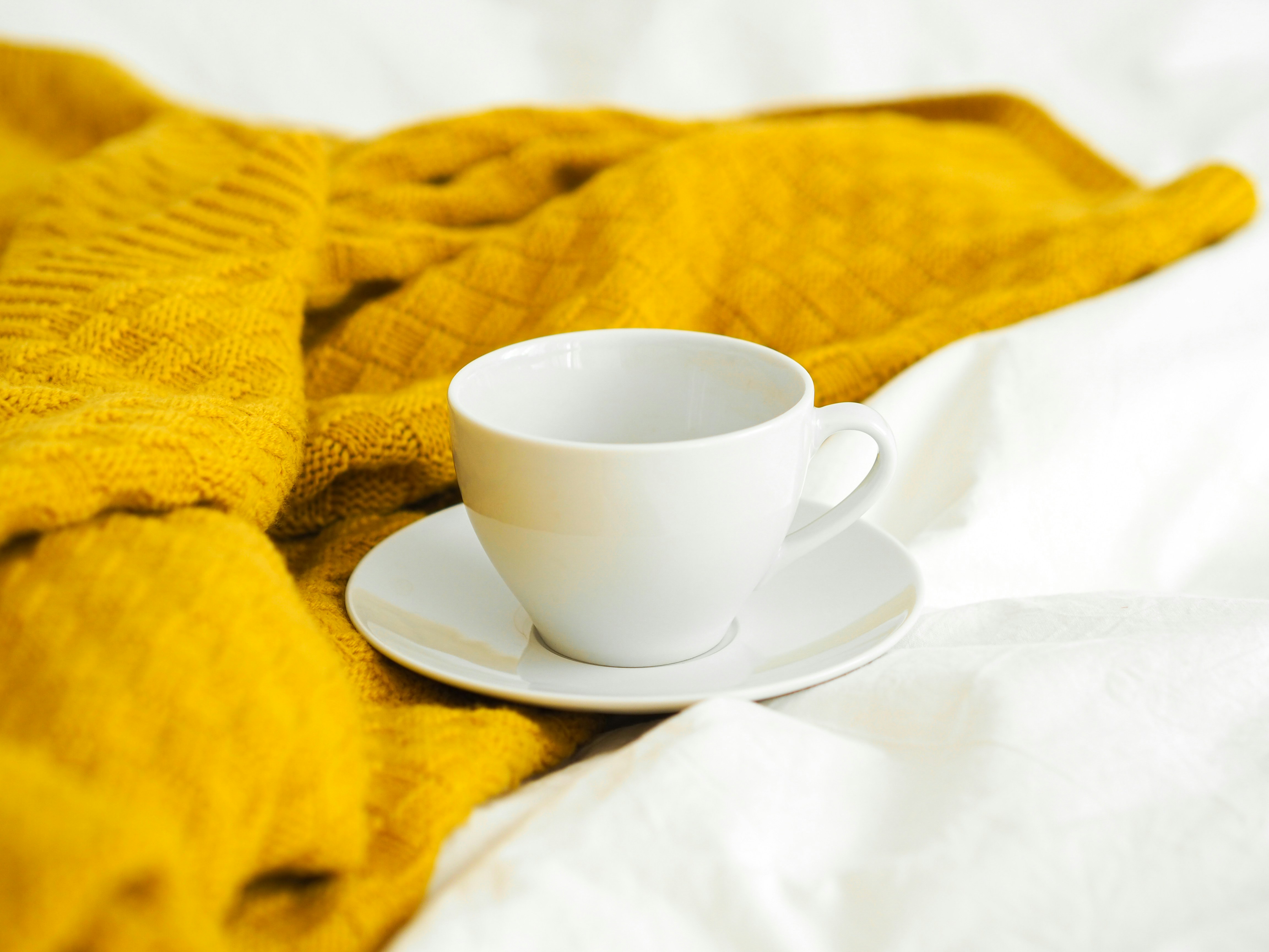Mustard Knit Morning: A White Cup in Soft Light