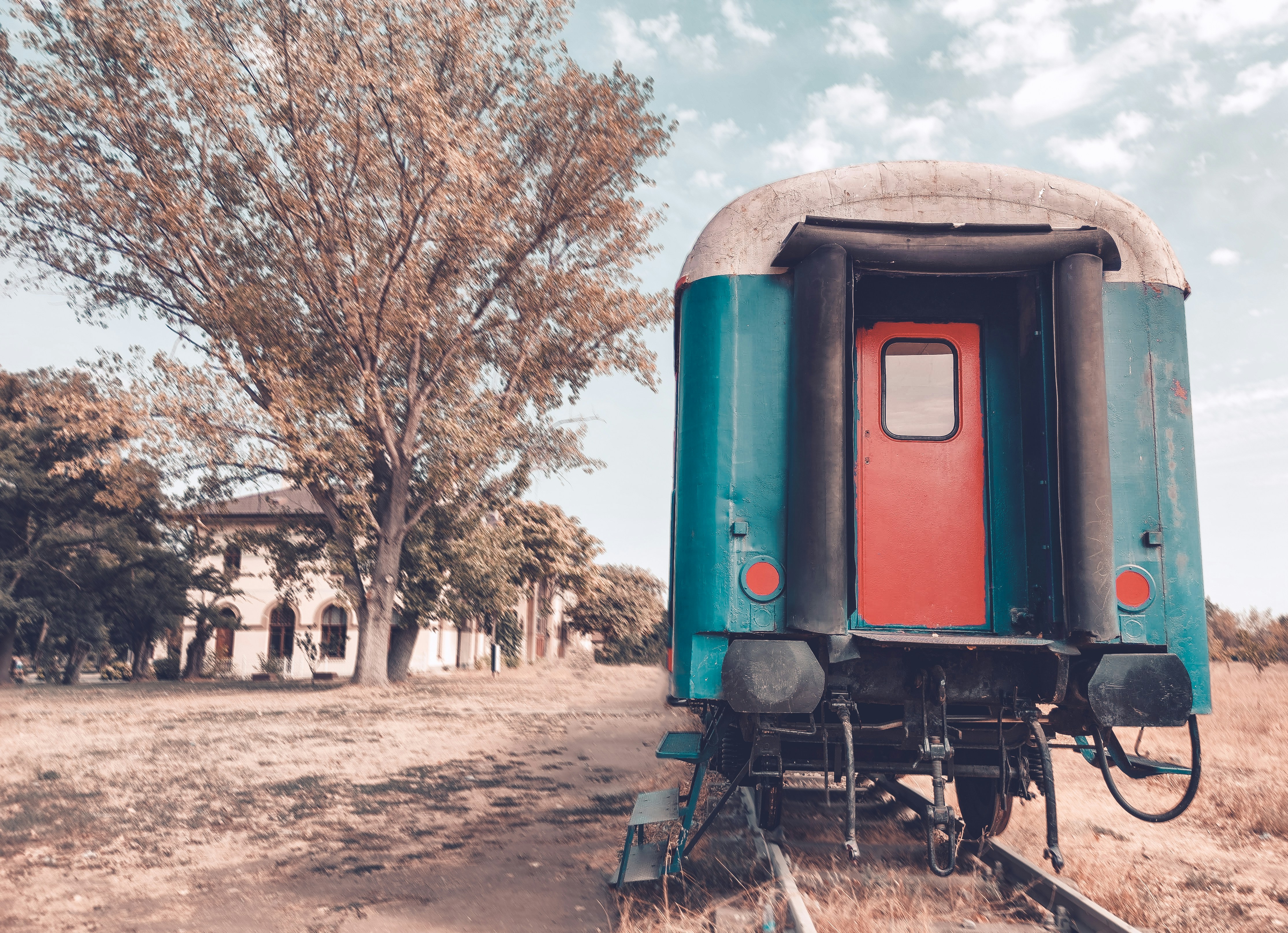 Weathered train car on overgrown tracks beside a large tree in a sunlit field.