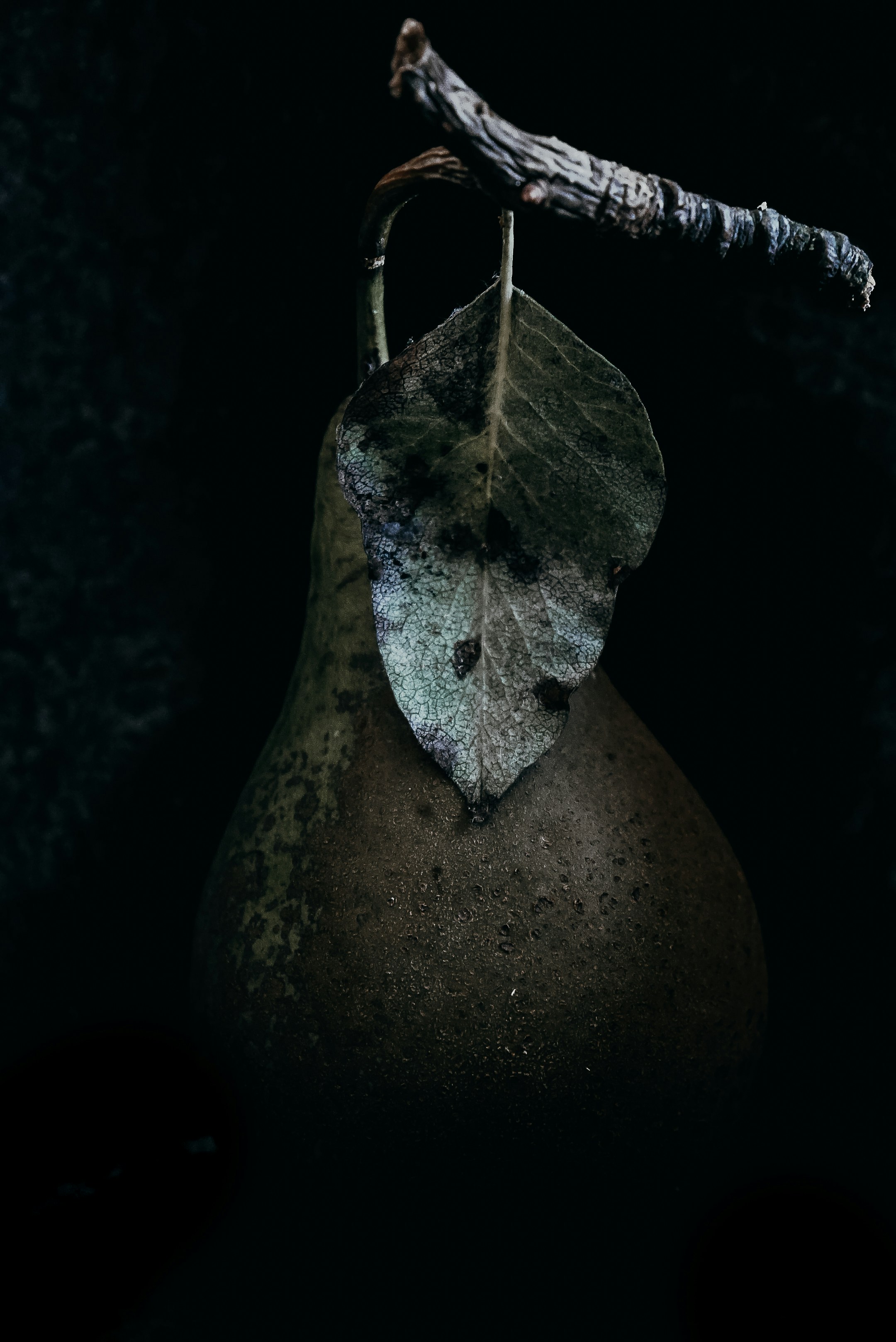 Nocturnal Still Life: A Pear Beneath a Withered Leaf