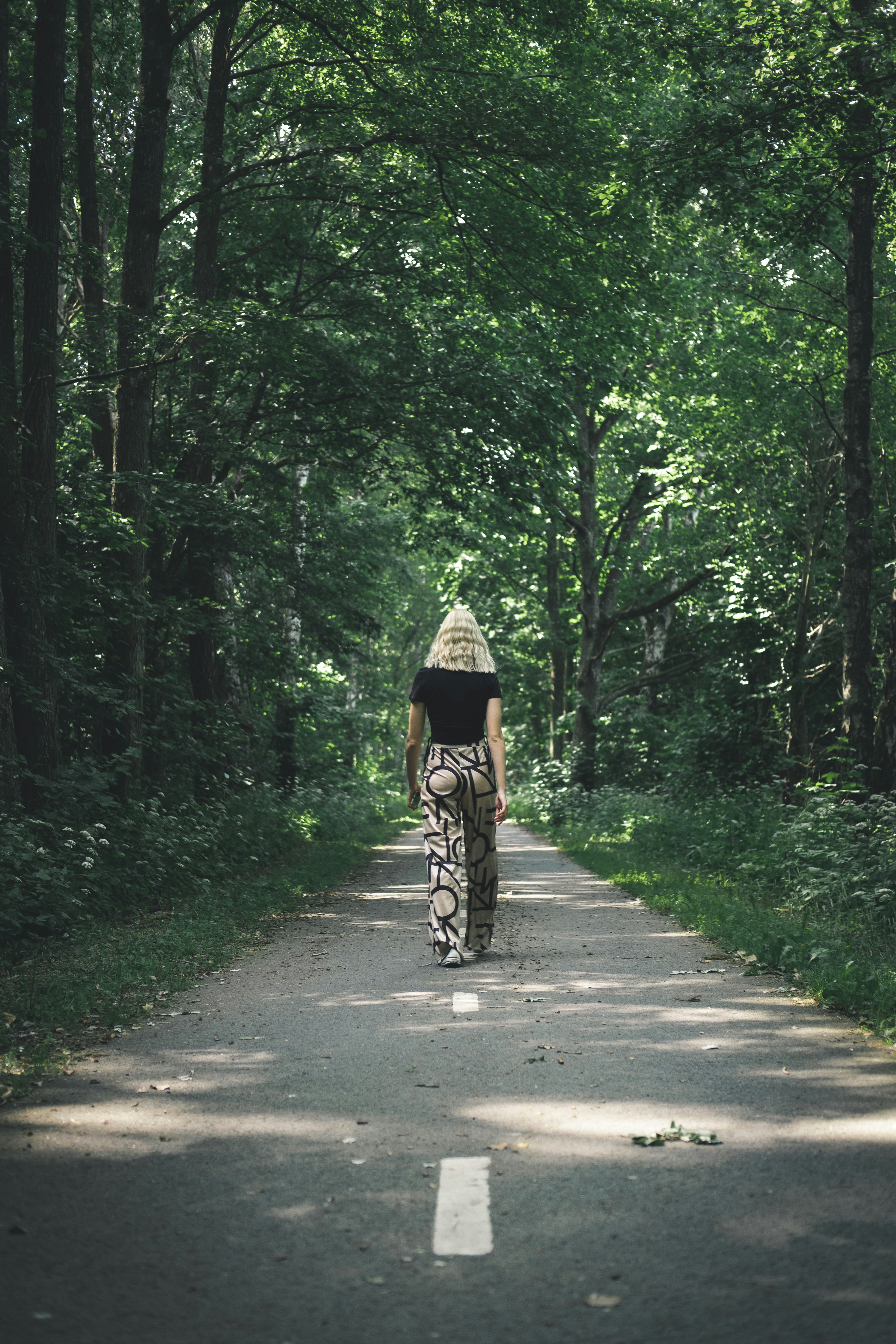 A figure walks down a tranquil, tree-lined path, surrounded by lush greenery. The scene evokes a sense of exploration and serenity.