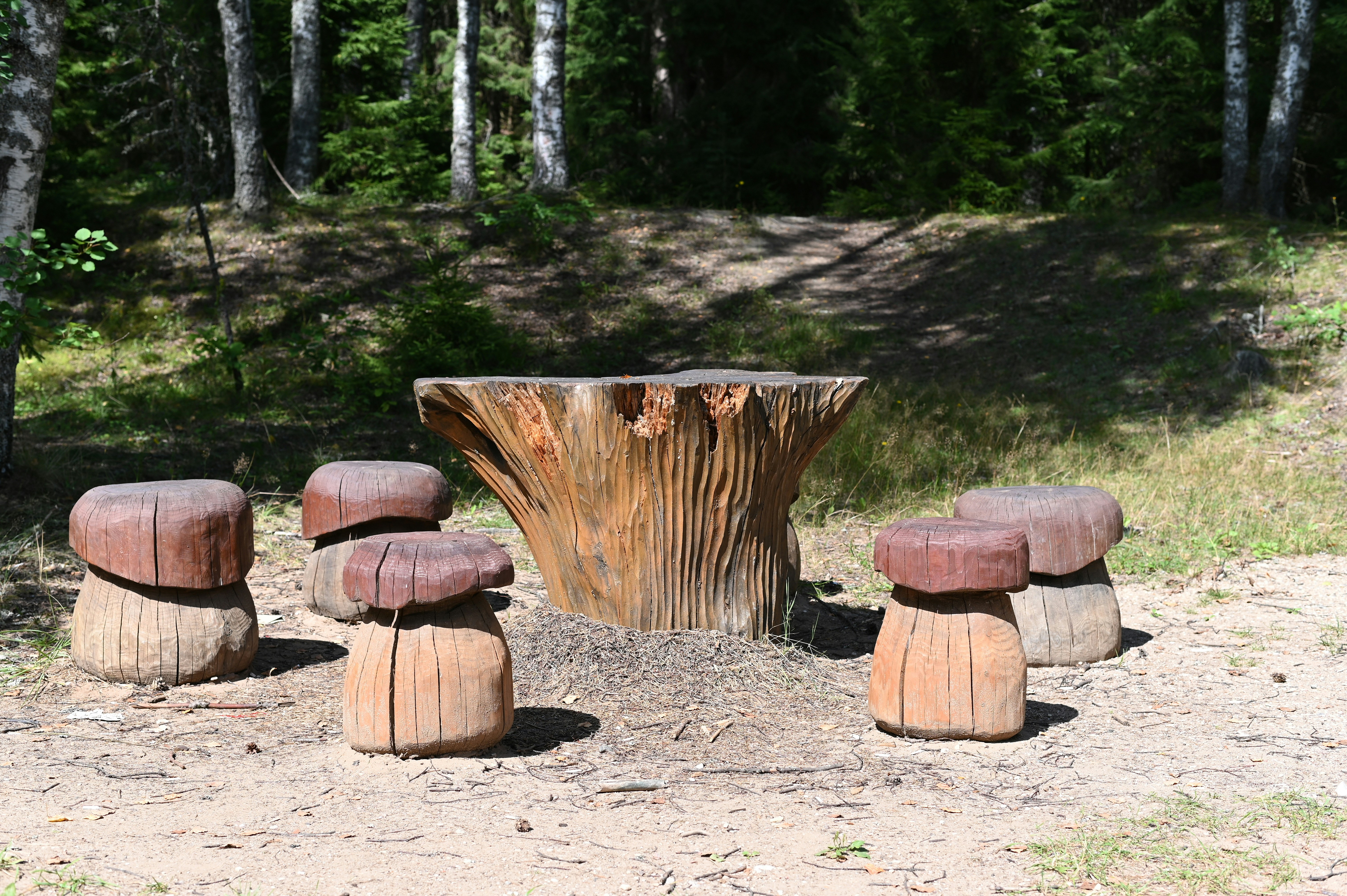 A circular arrangement of wooden stools surrounding a sculpted tree stump, set in a tranquil forest clearing.