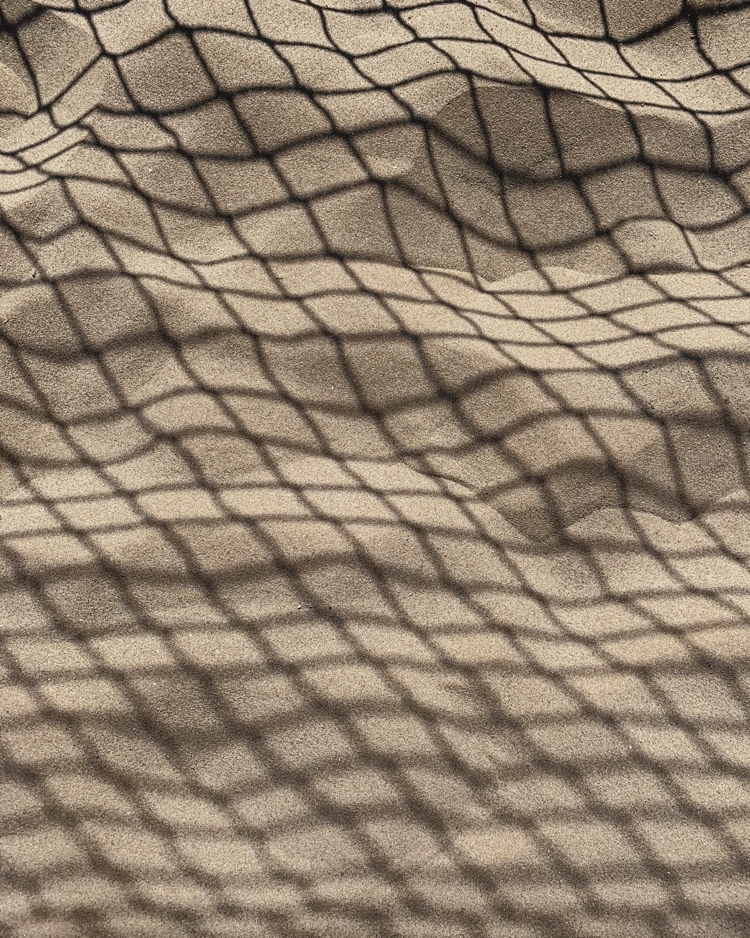 Collage | 2 best free collage, fruit, food and animal photos on Unsplash