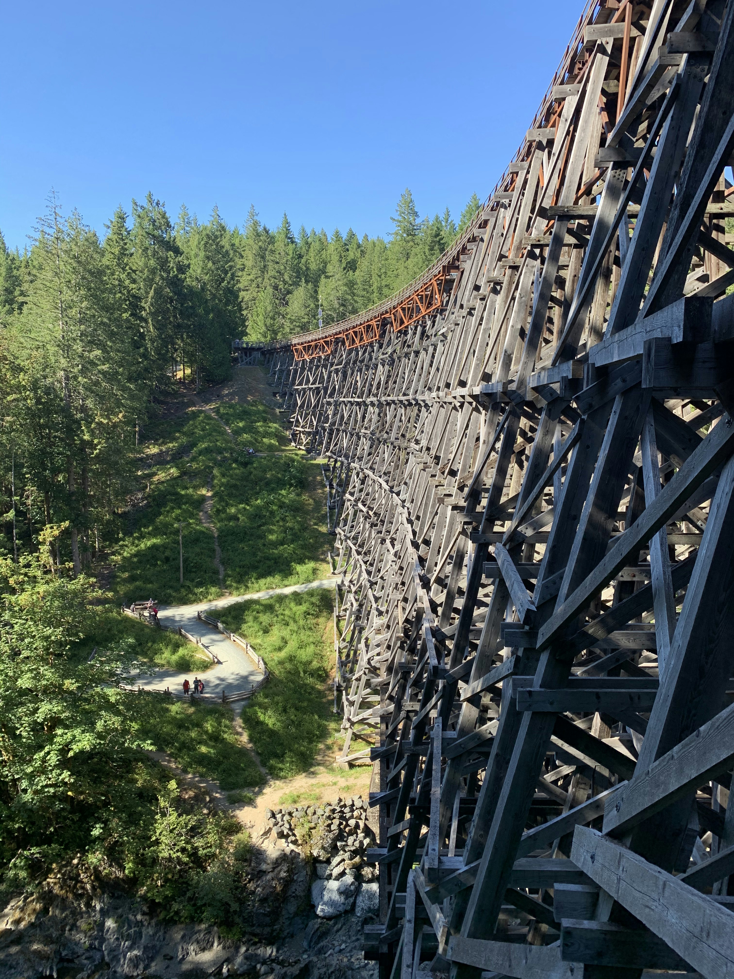 Timber Spine Along the Pines: A Mountain Coaster Rises Against the Forest