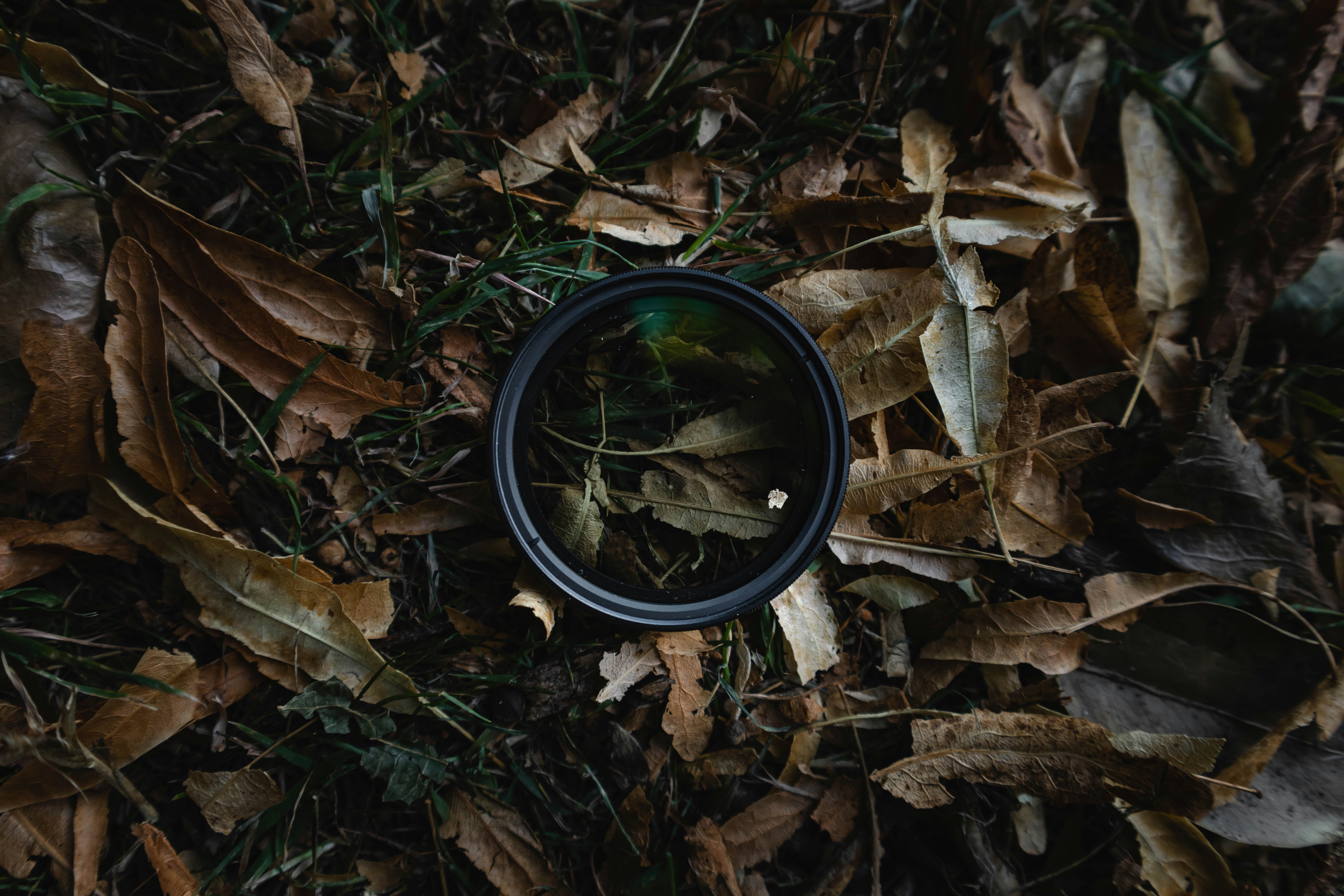 Central Focus: A Lens Nestled Among Autumn Leaves